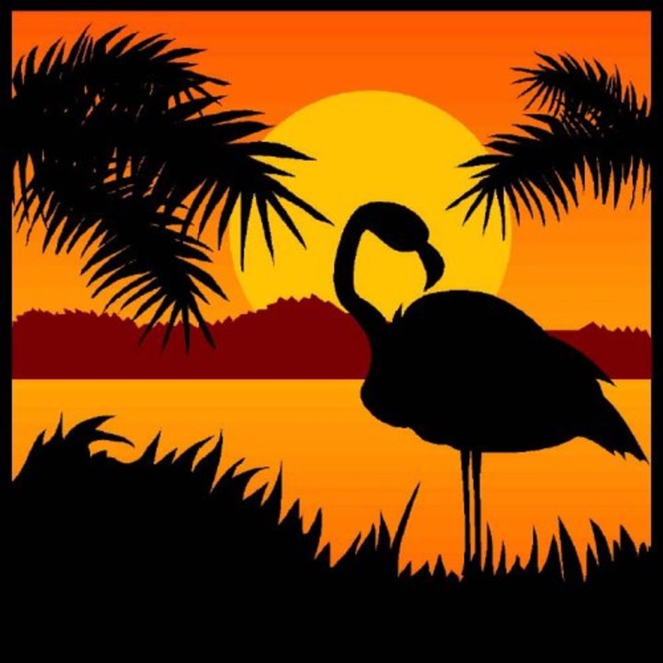 Flamingo Clip Art N14 free image download