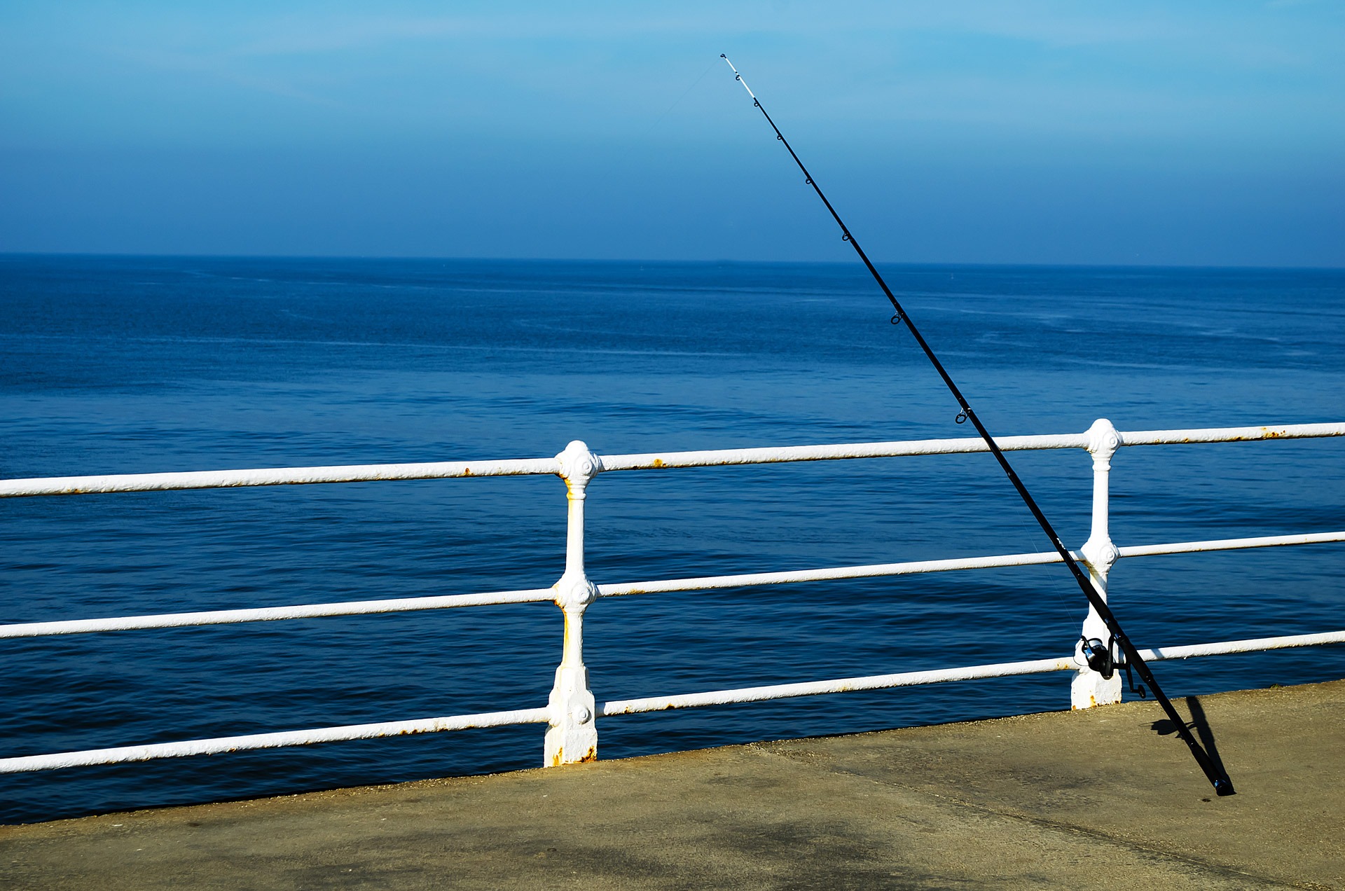 Fishing sea fish hobby job free image download
