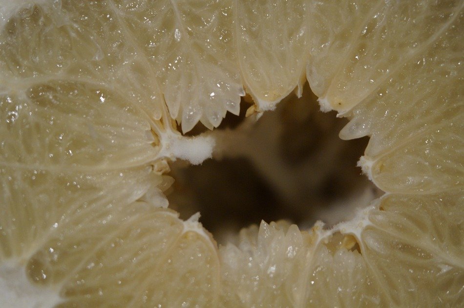 Hole in grapefruit inner free image download