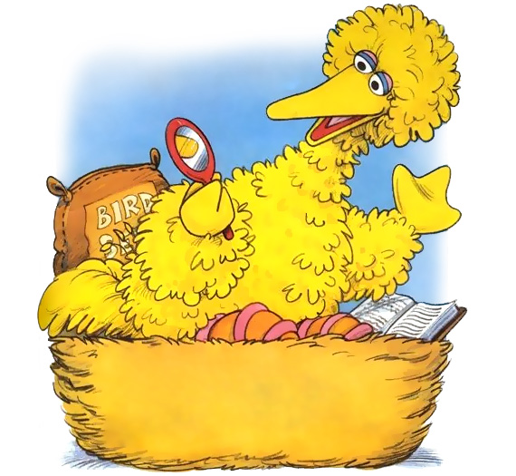 Sesame Street Big Bird Sings free image download