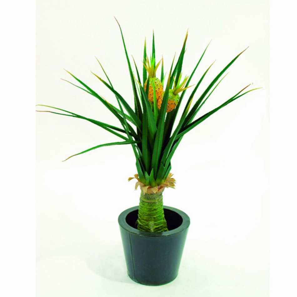 Spring Thaw Clip Art N3 free image download