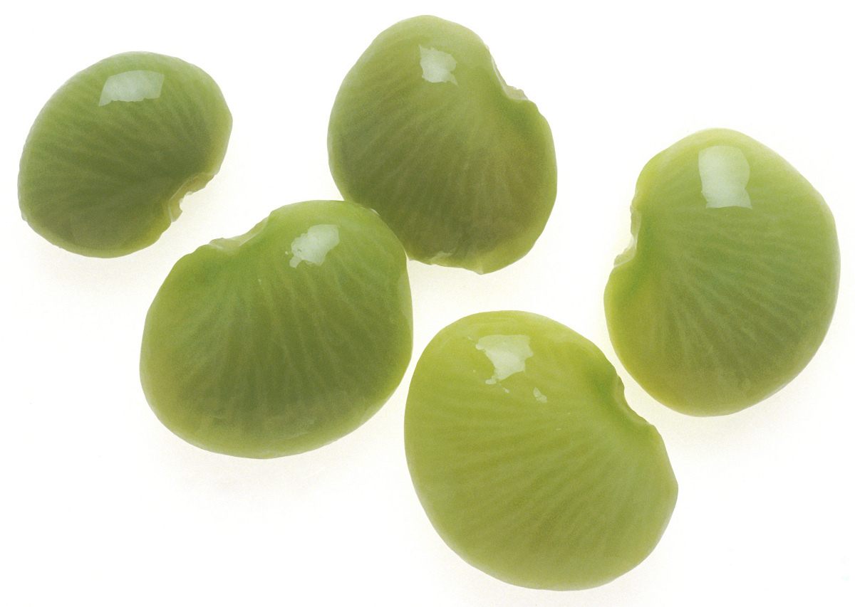Green Lima Beans drawing free image download