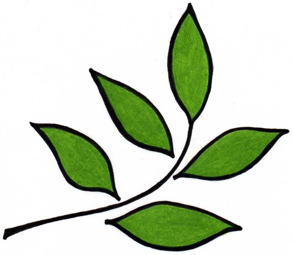 Leaf Designs drawing free image download