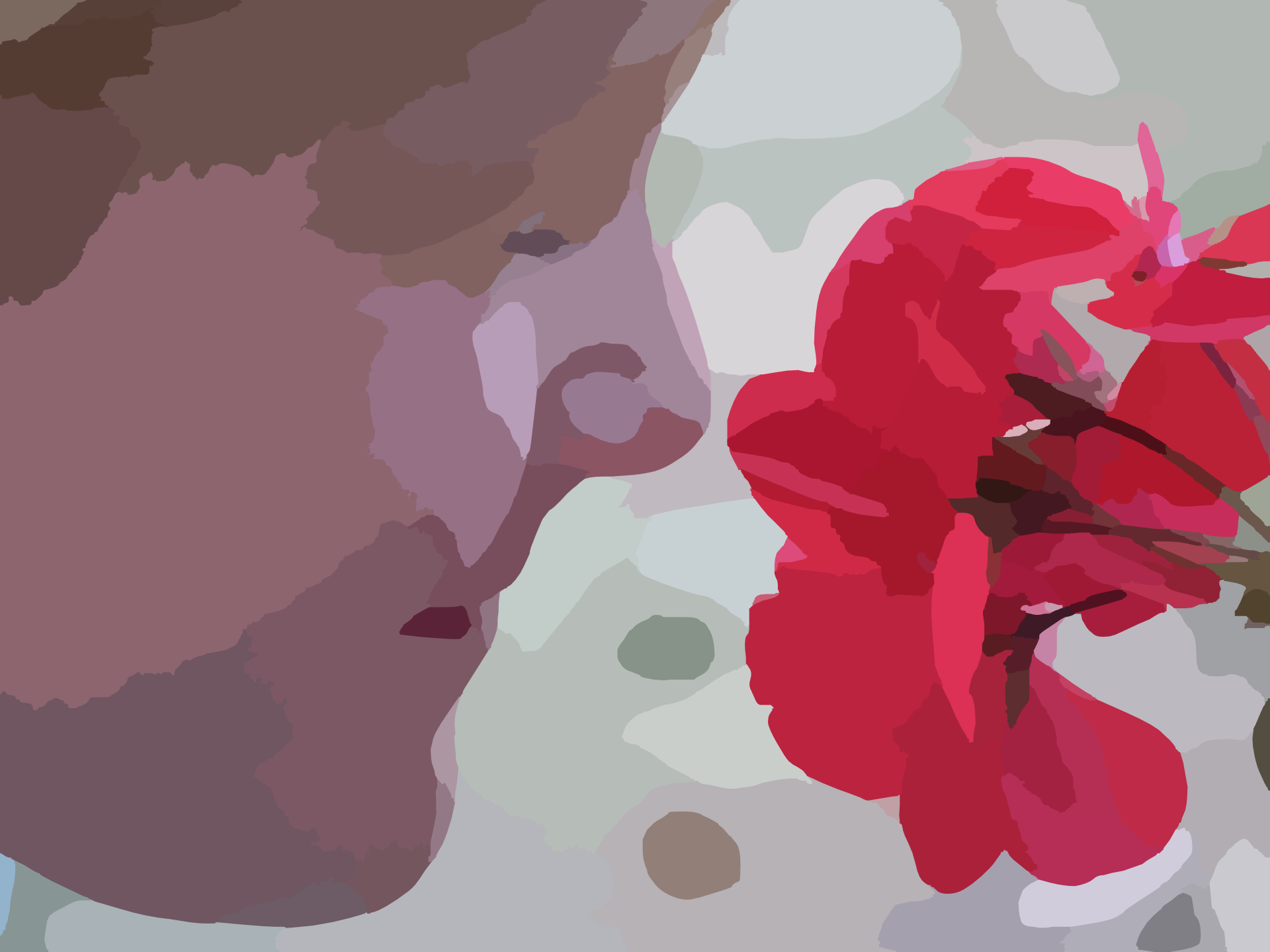 Smell rose drawing free image download