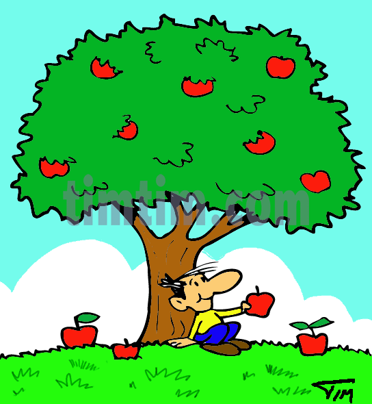 Apple Tree Cartoon N3 free image download