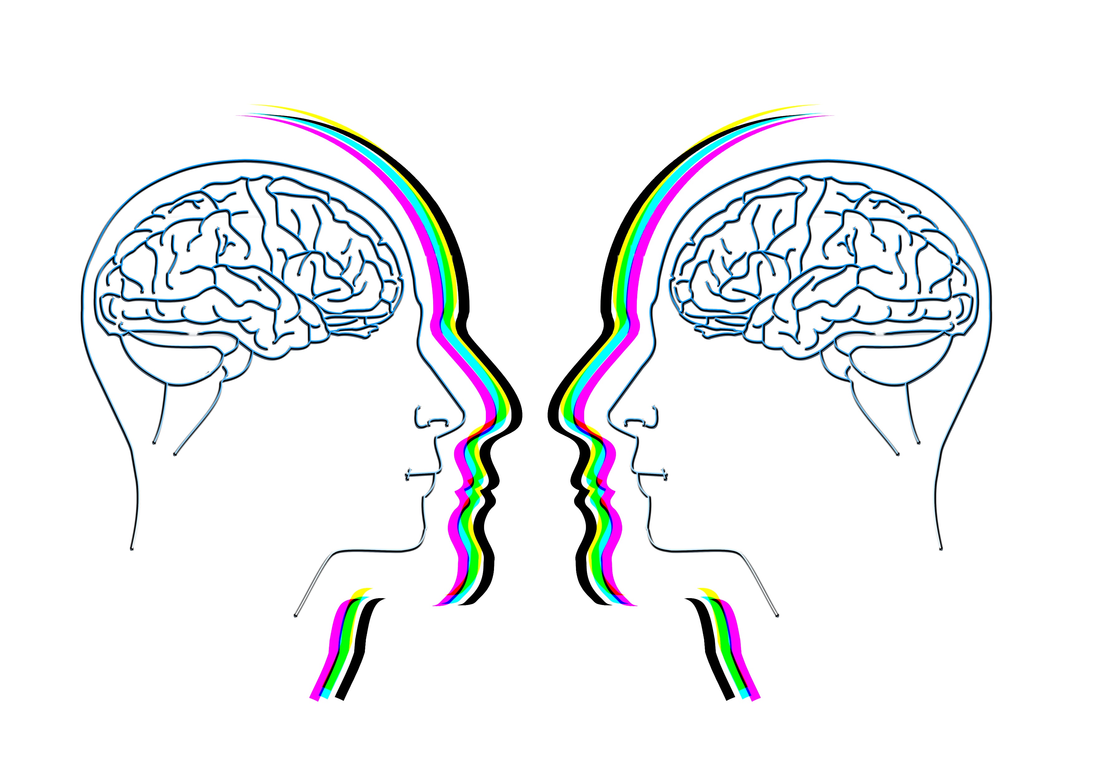 The picture of the human brain and its role in the psychology of ...