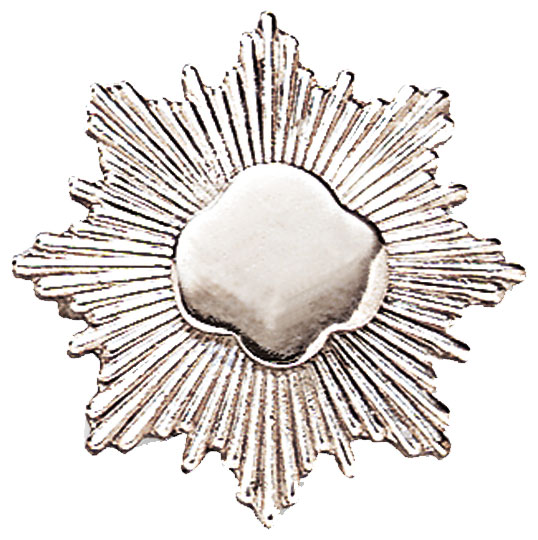 Girl Scout Silver Award free image download