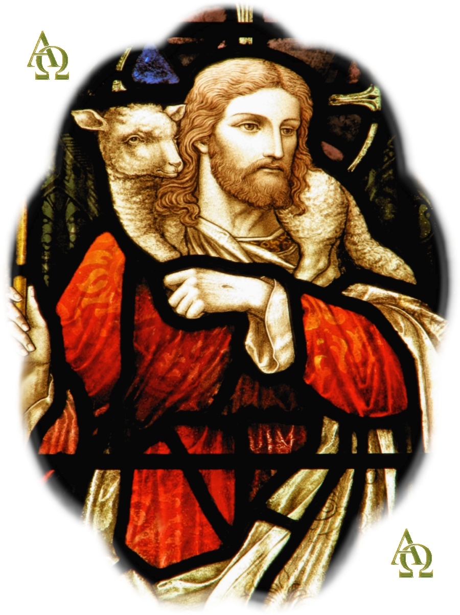 Good Shepherd N2 free image download