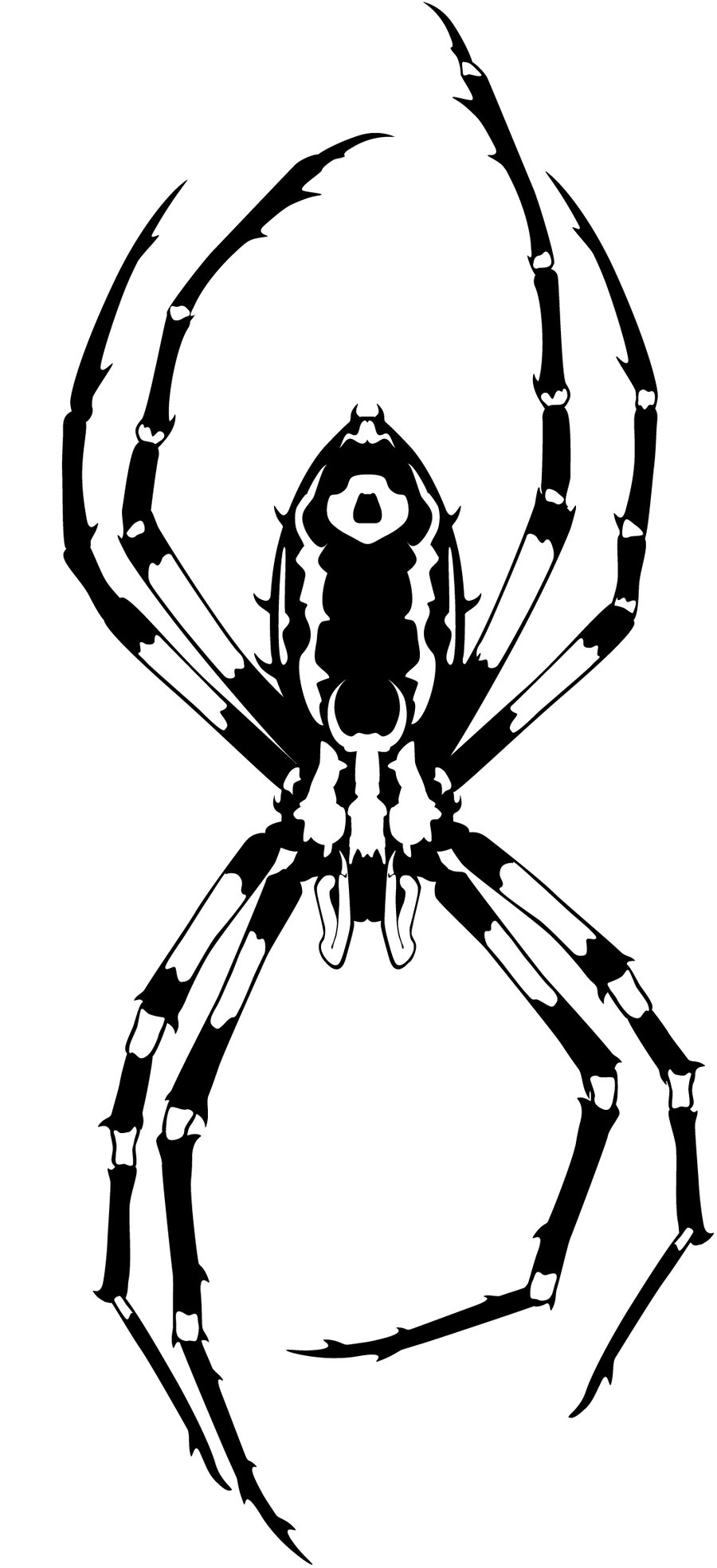Spider Logo drawing free image download