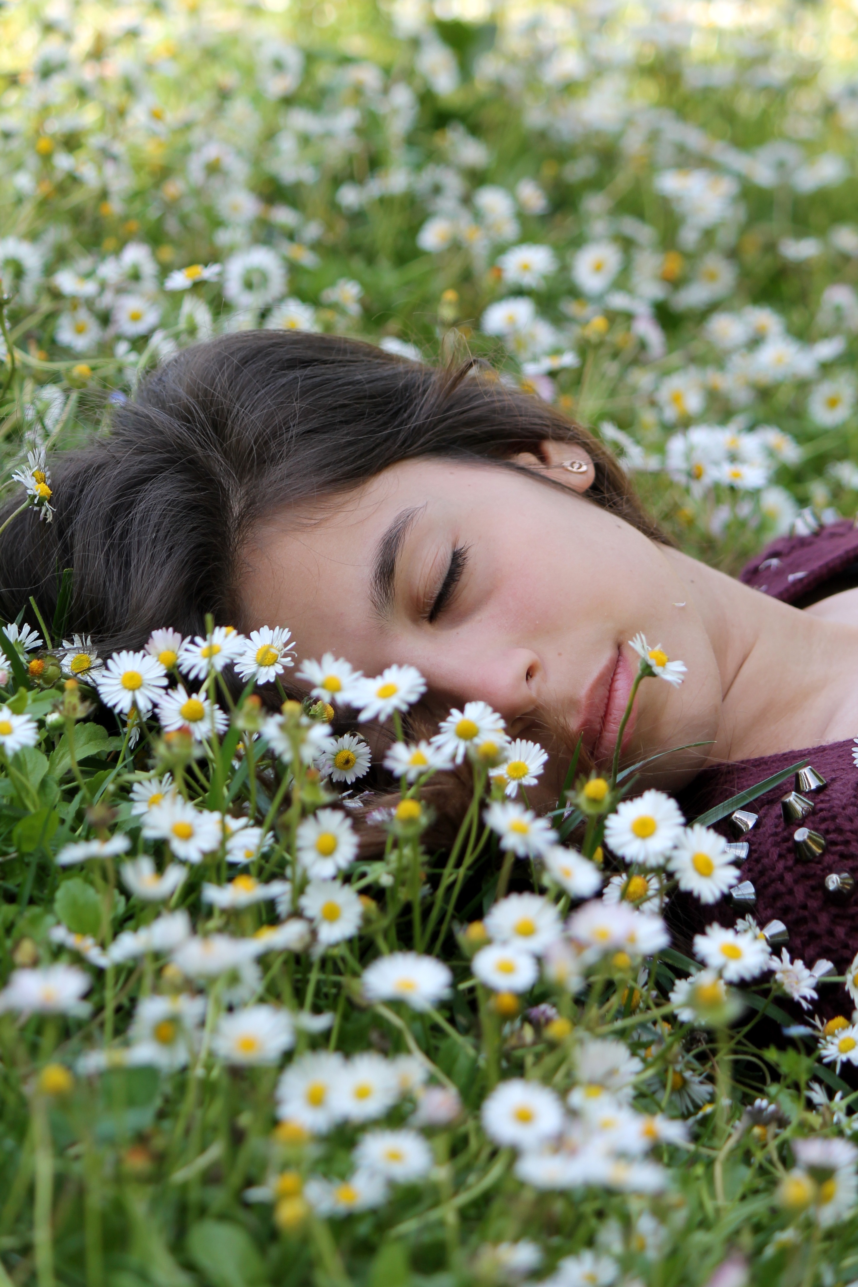 Sleep Rest Face on flowers free image download