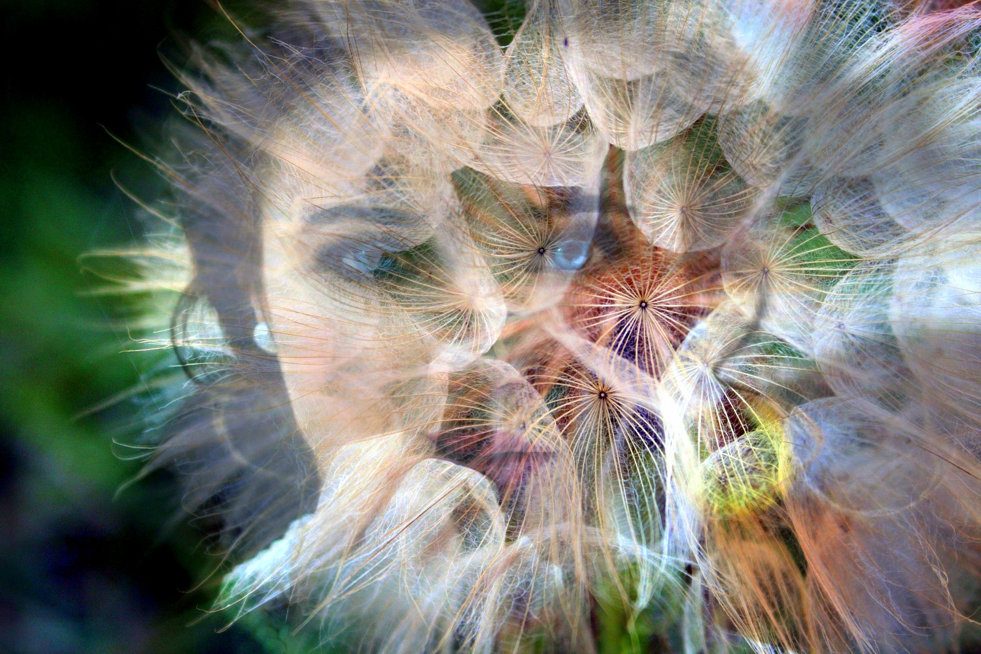 Girl face manipulation free image download