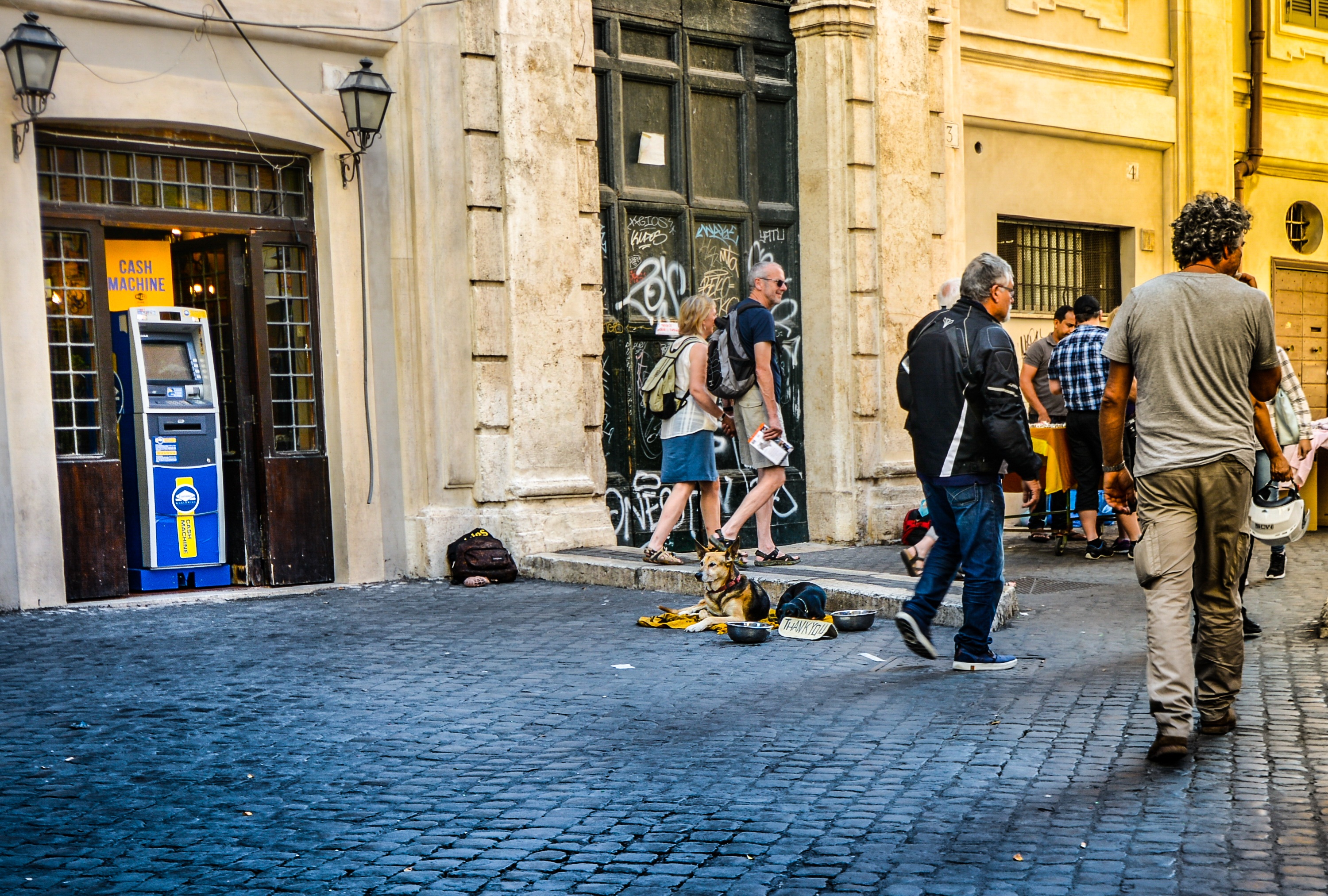 People and homeless dog on the street in trastevere, Rome, Italy free ...