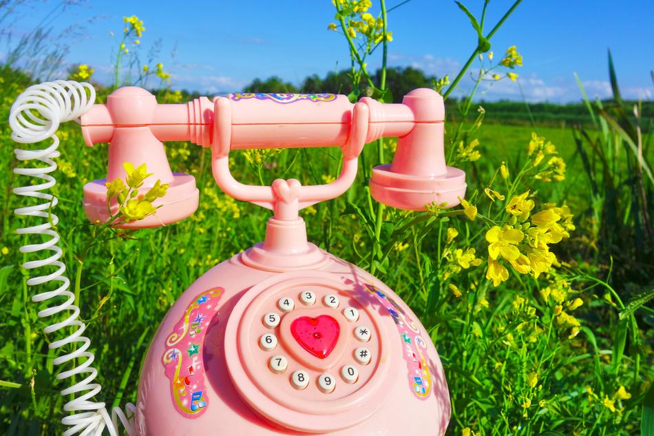 Pink toy retro desk Phone on rapeseed field free image download