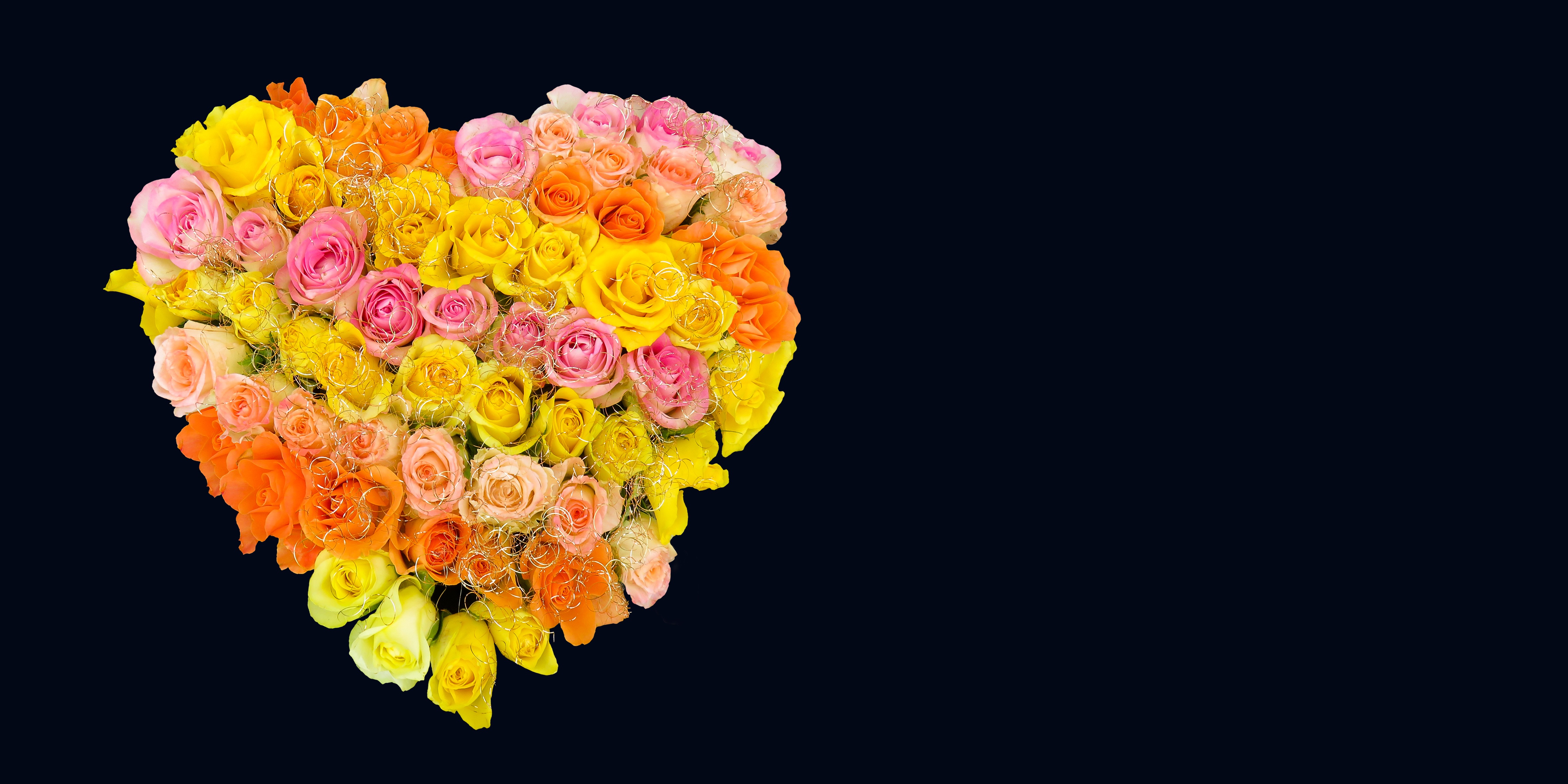 Colorful Emotions Flower Plants free image download