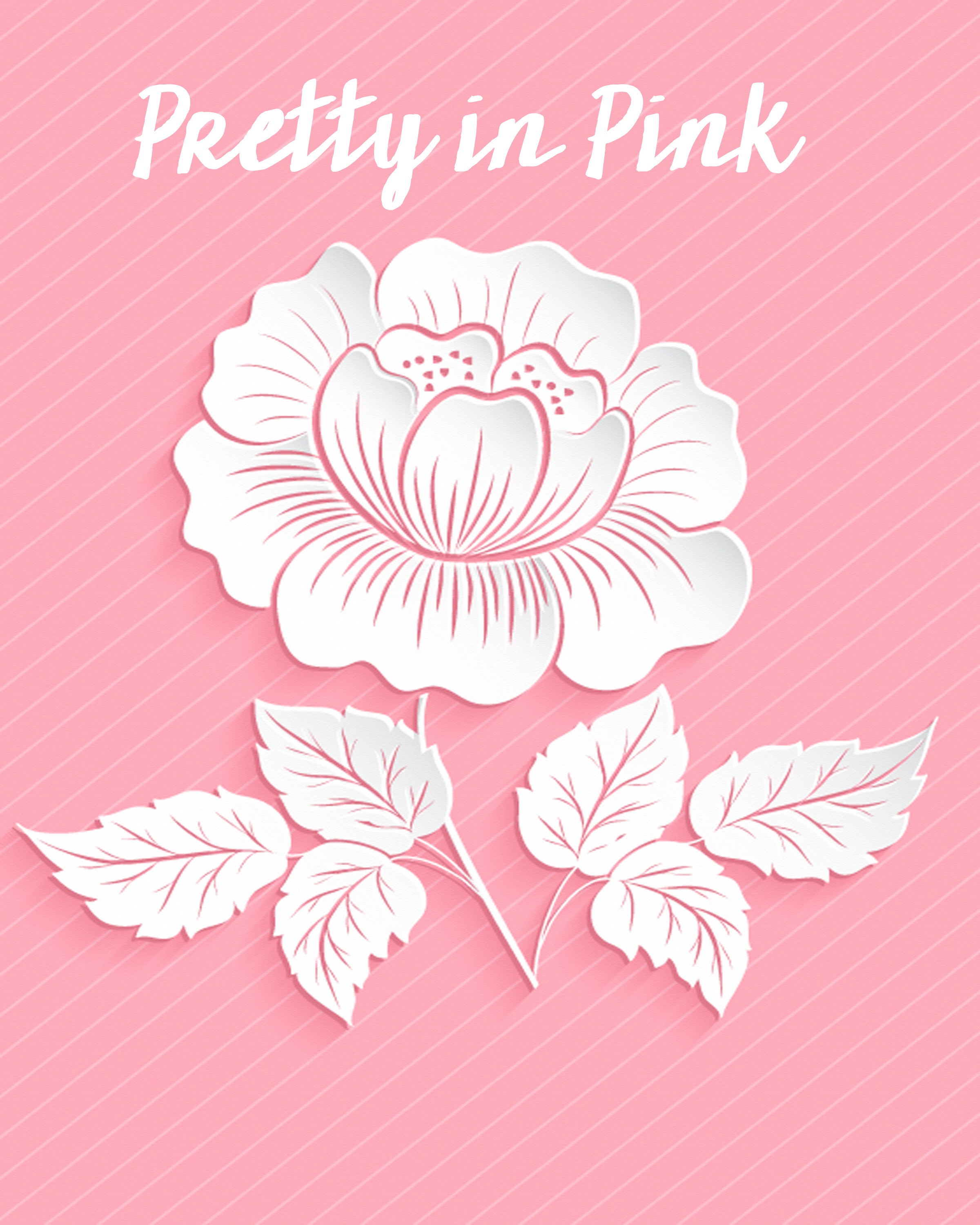 Pink rose pretty drawing free image download