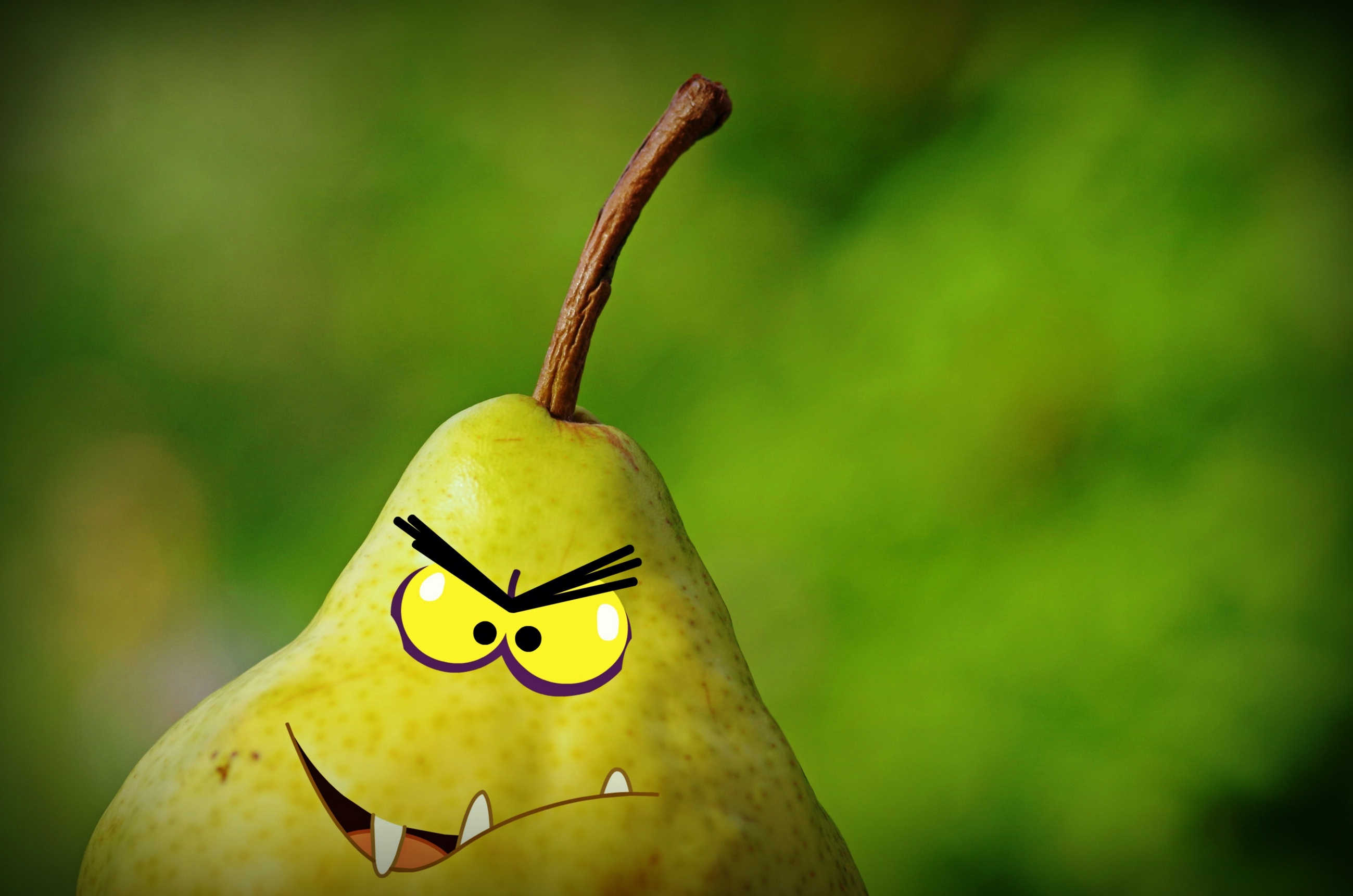 Pear faces grimassen humor free image download