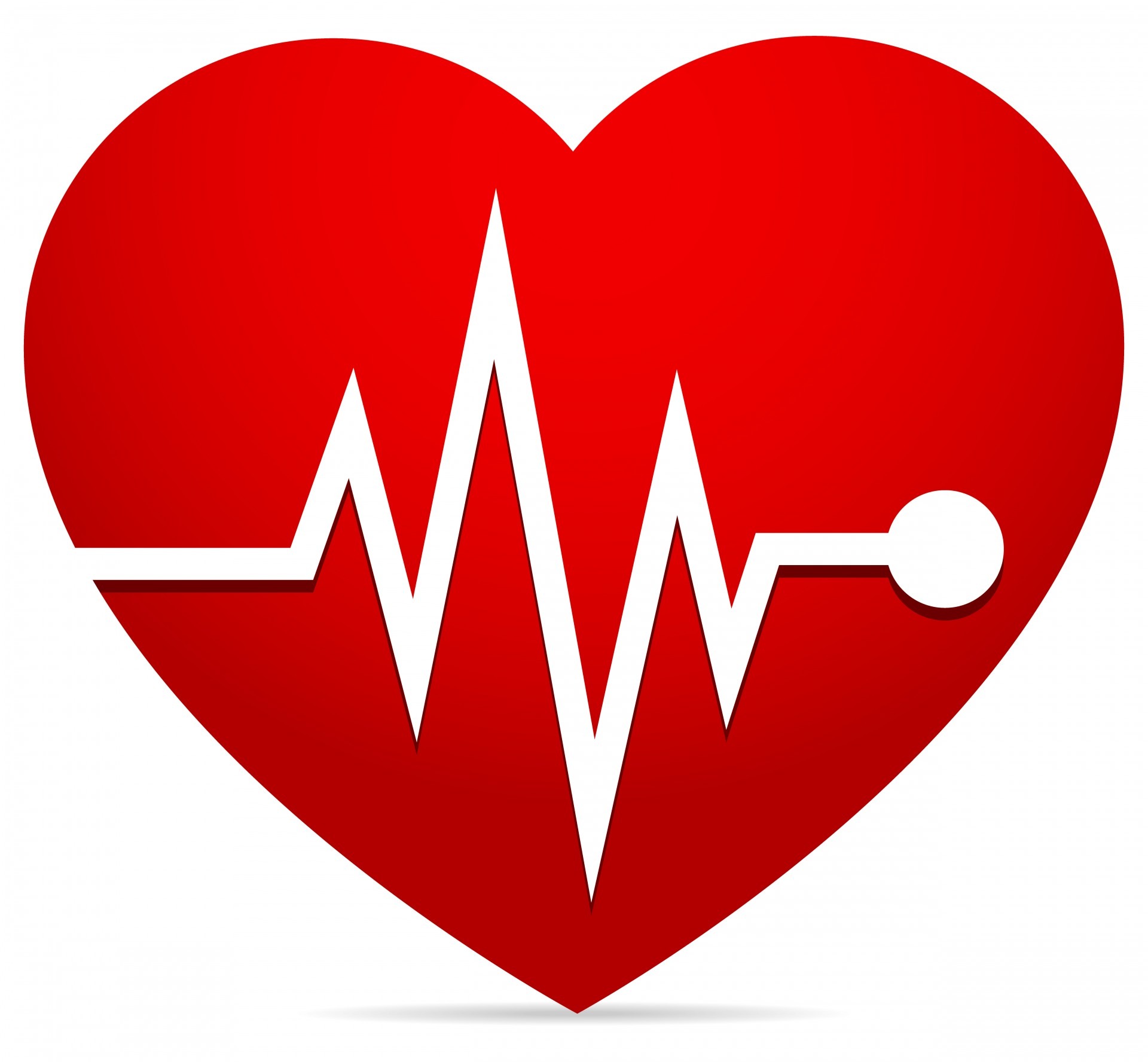 Heart ekg ecg heart rate red love free image download