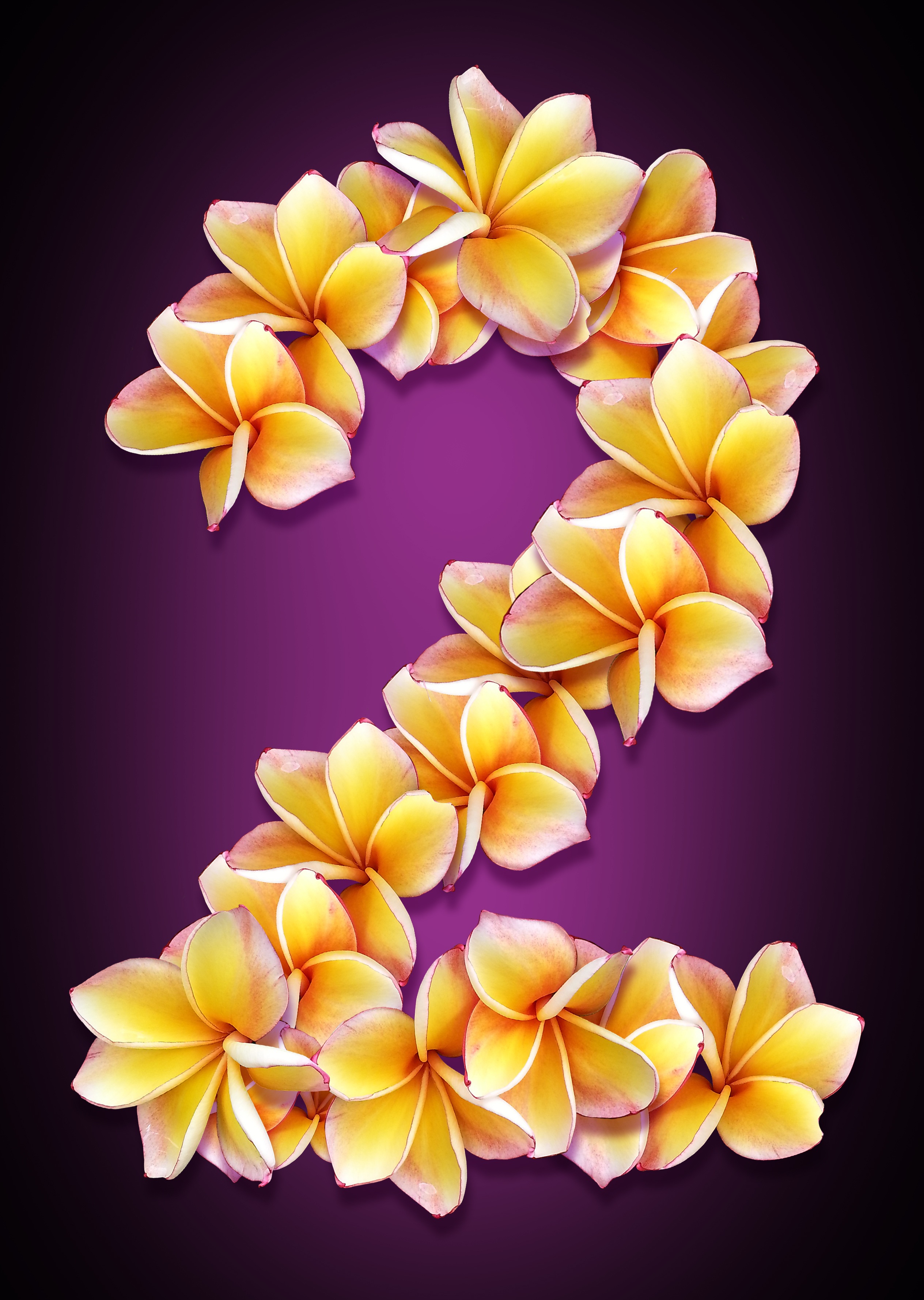 Figure Date Flowers free image download