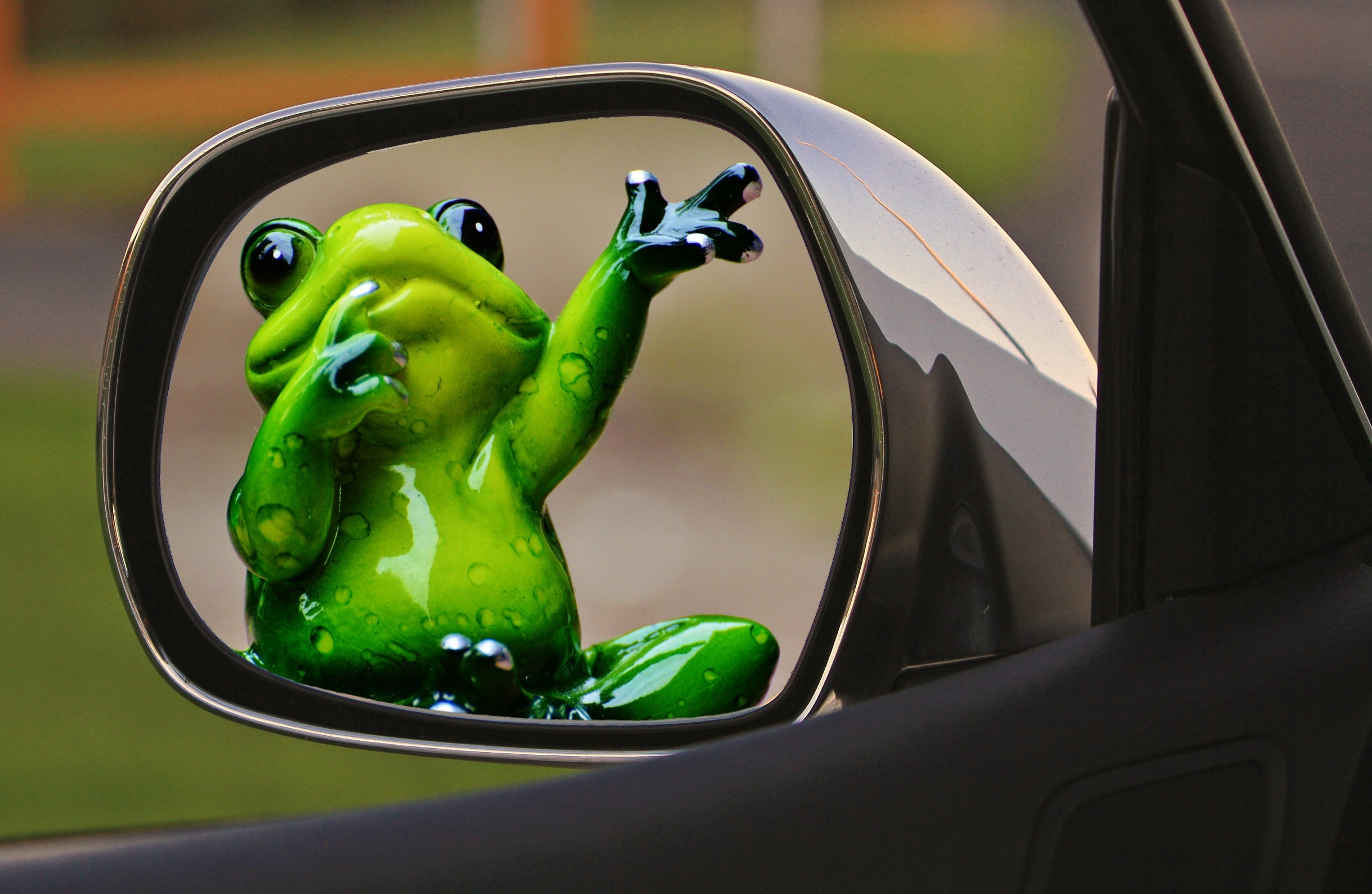Time To Go Frog Farewell free image download