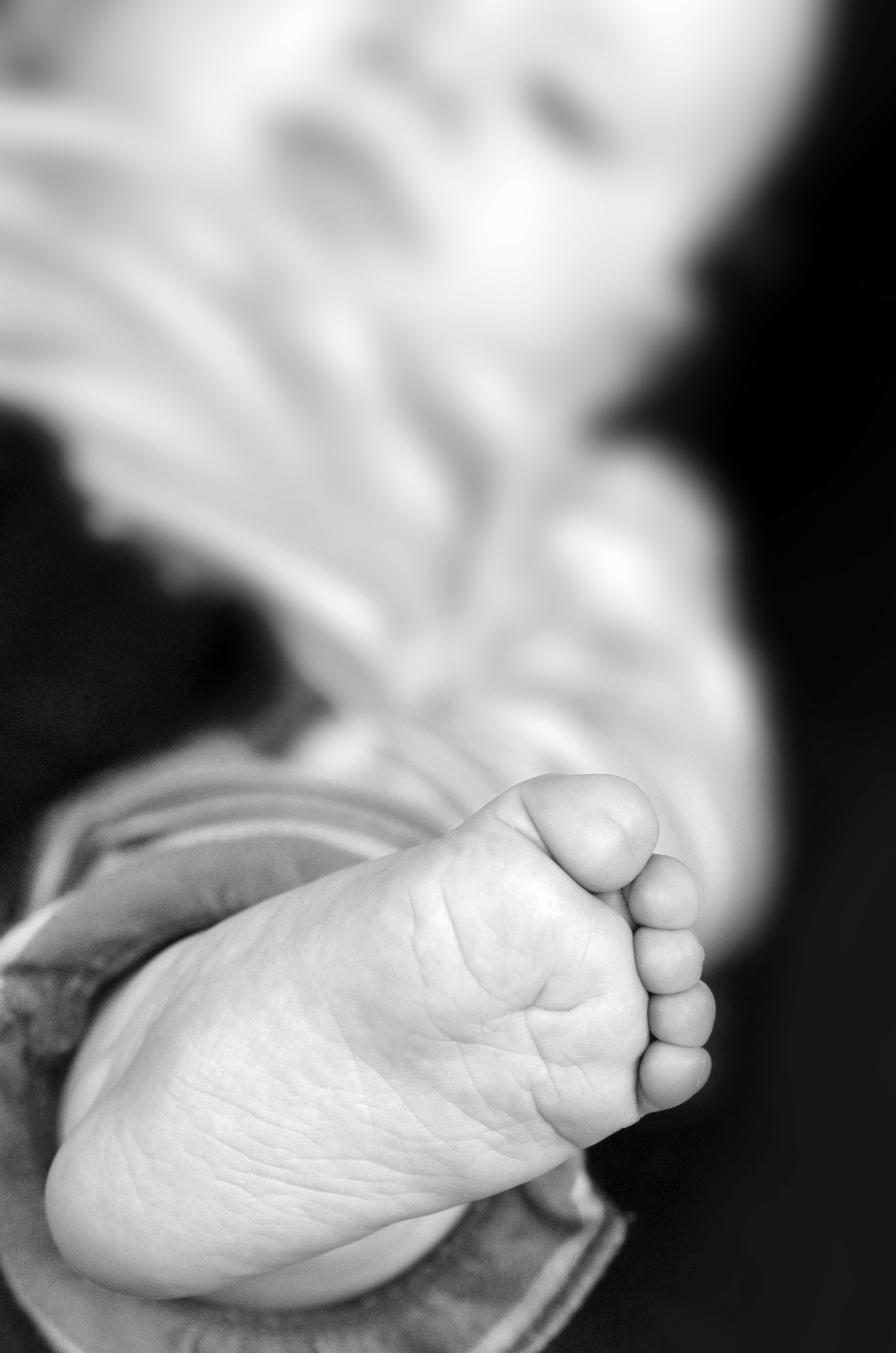 Foot Baby Feet free image download