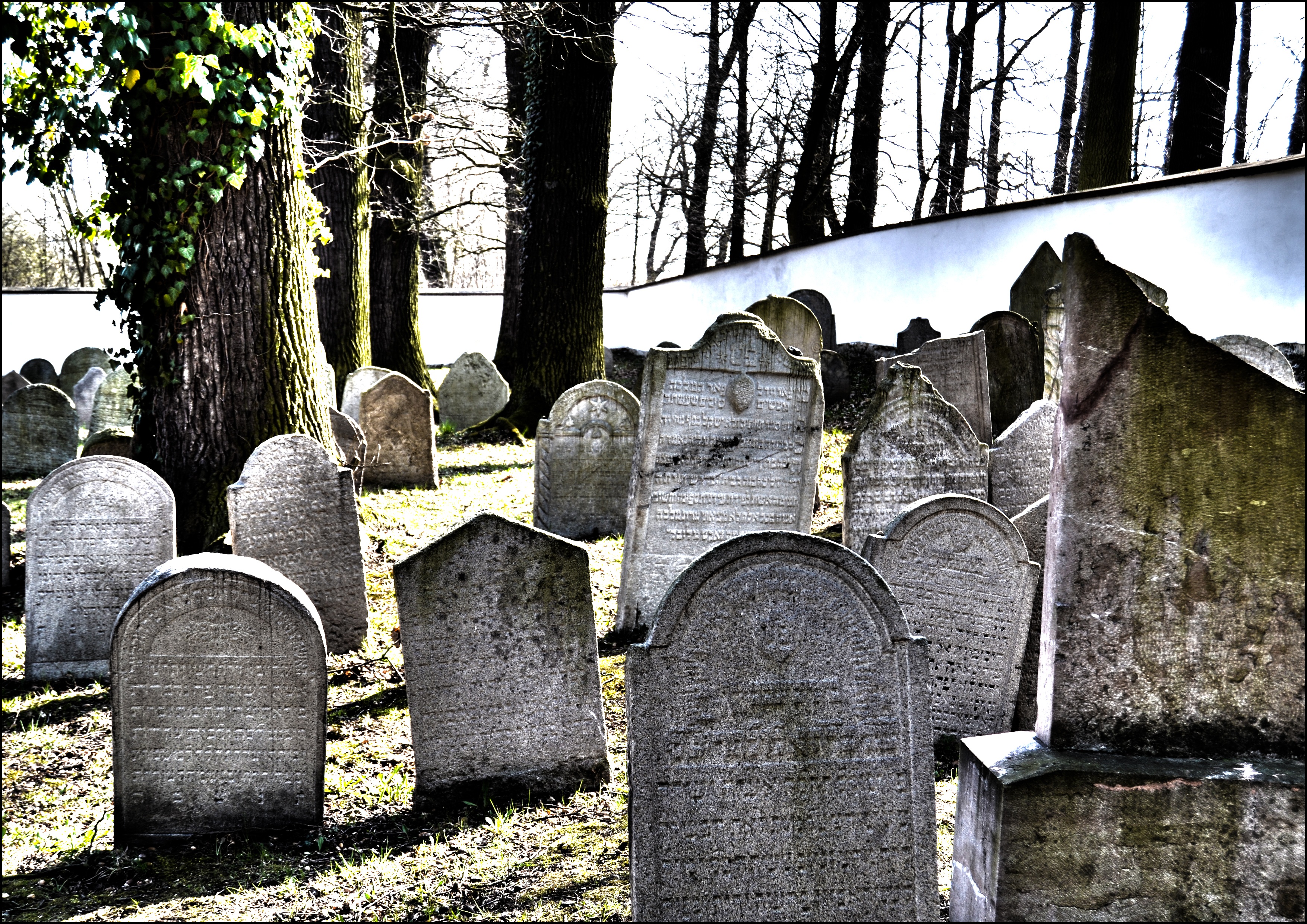 Cemetery Death Rest free image download