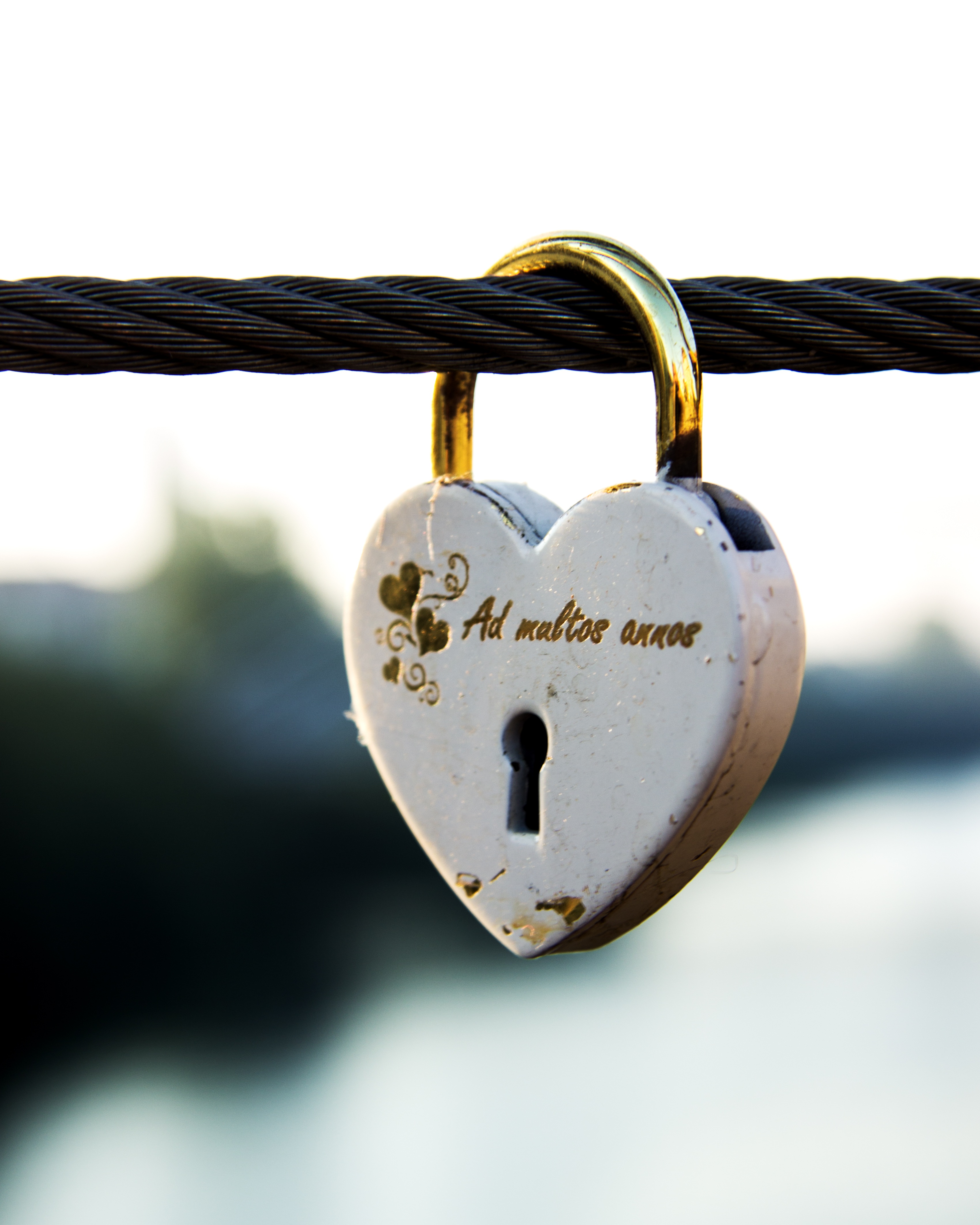 Heart Castle Bridge free image download