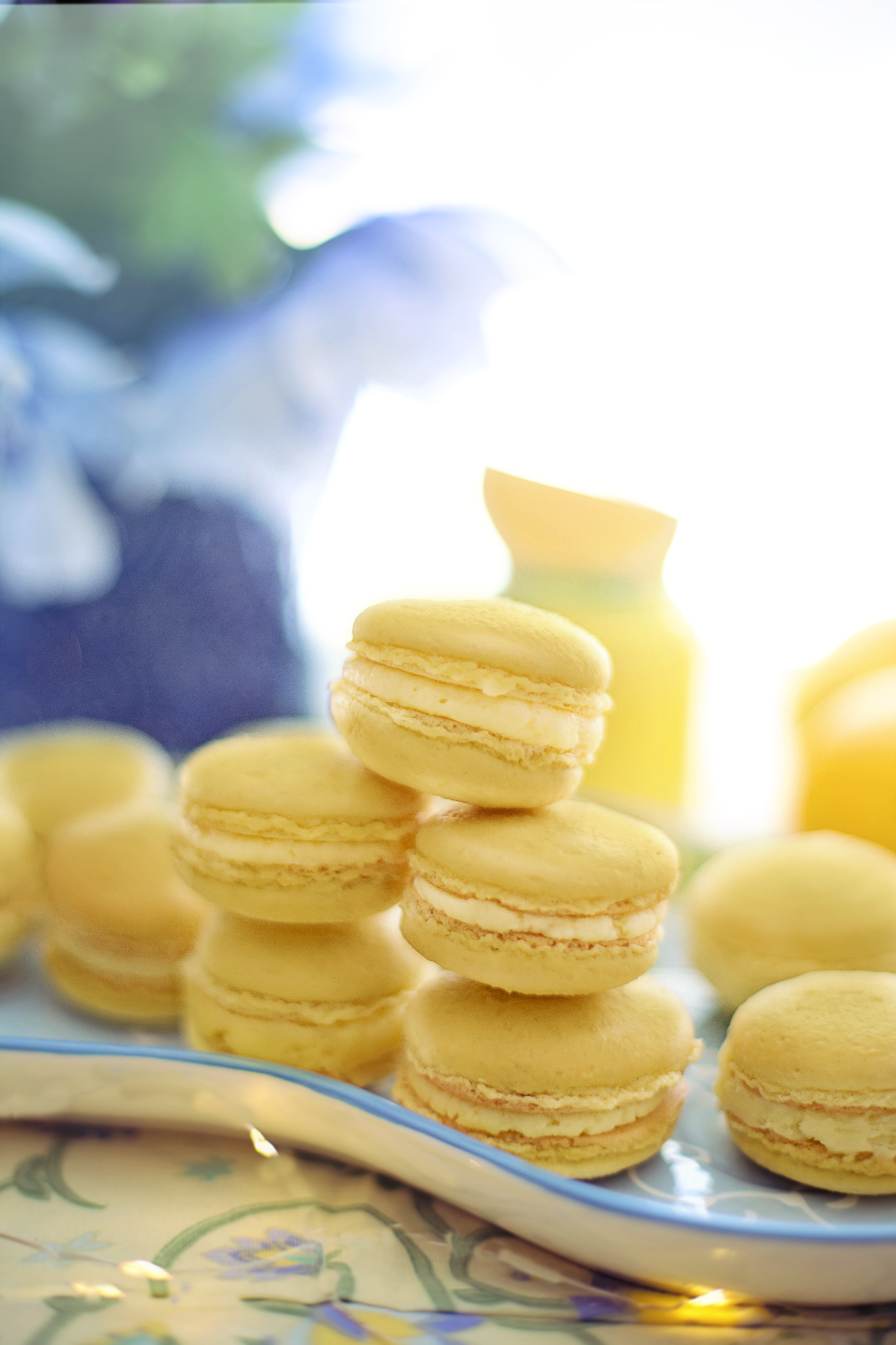 Lemon macarons free image download
