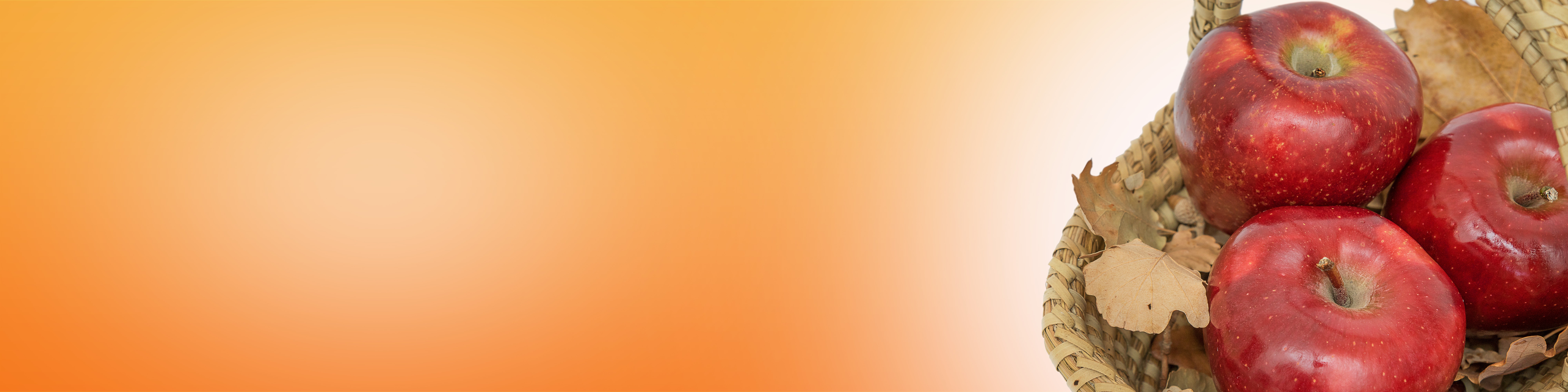 Beautiful Red Apples, long banner free image download