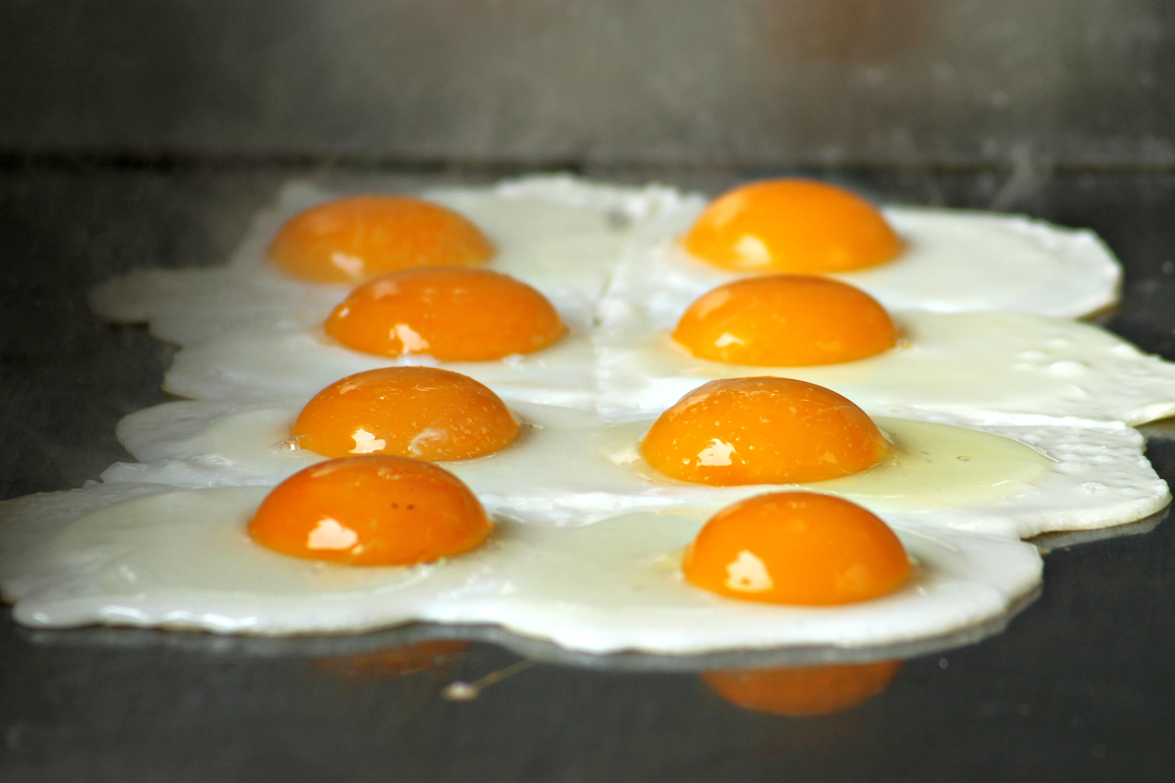 Eggs while cooking free image download