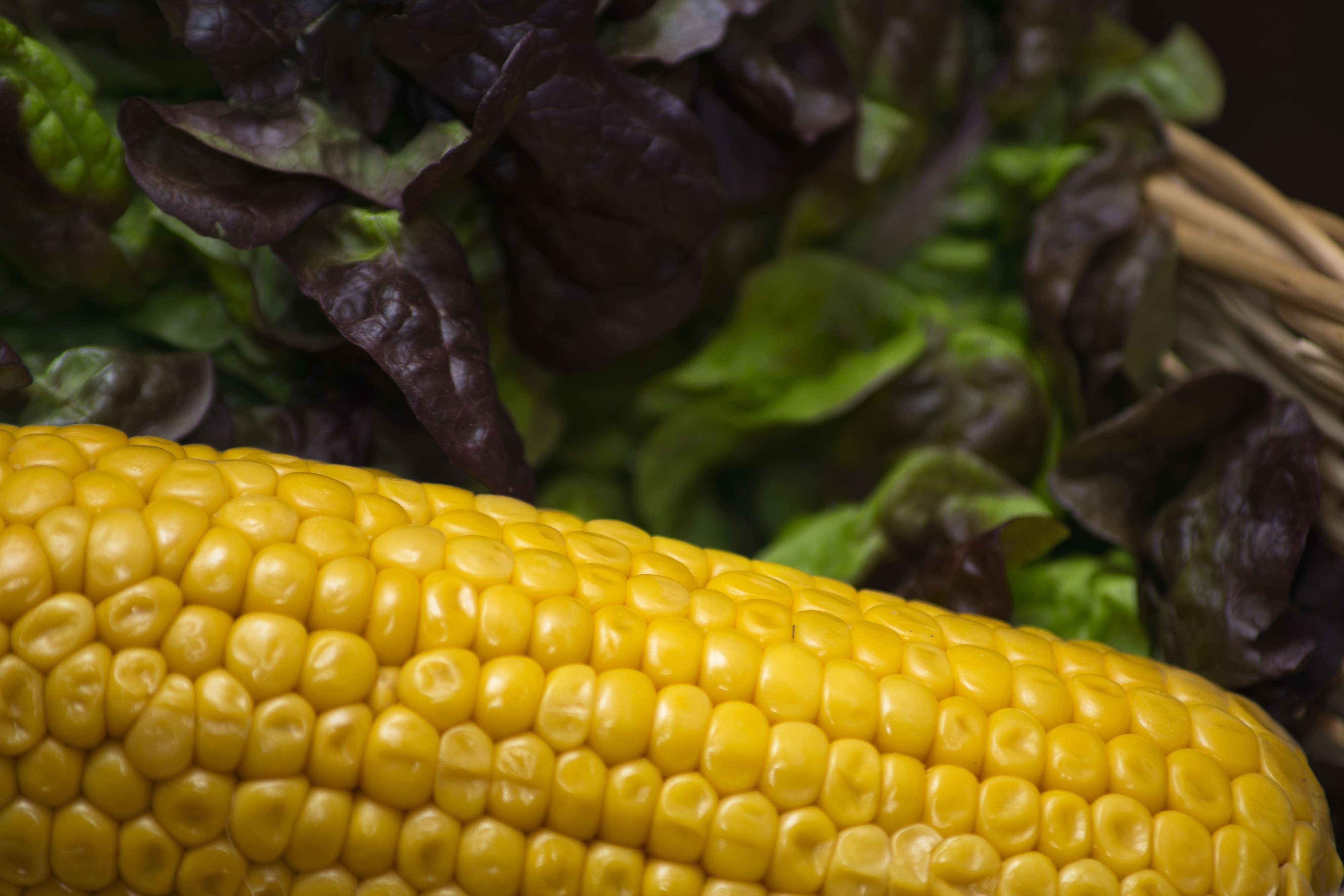 Corn Lettuce Healthy free image download