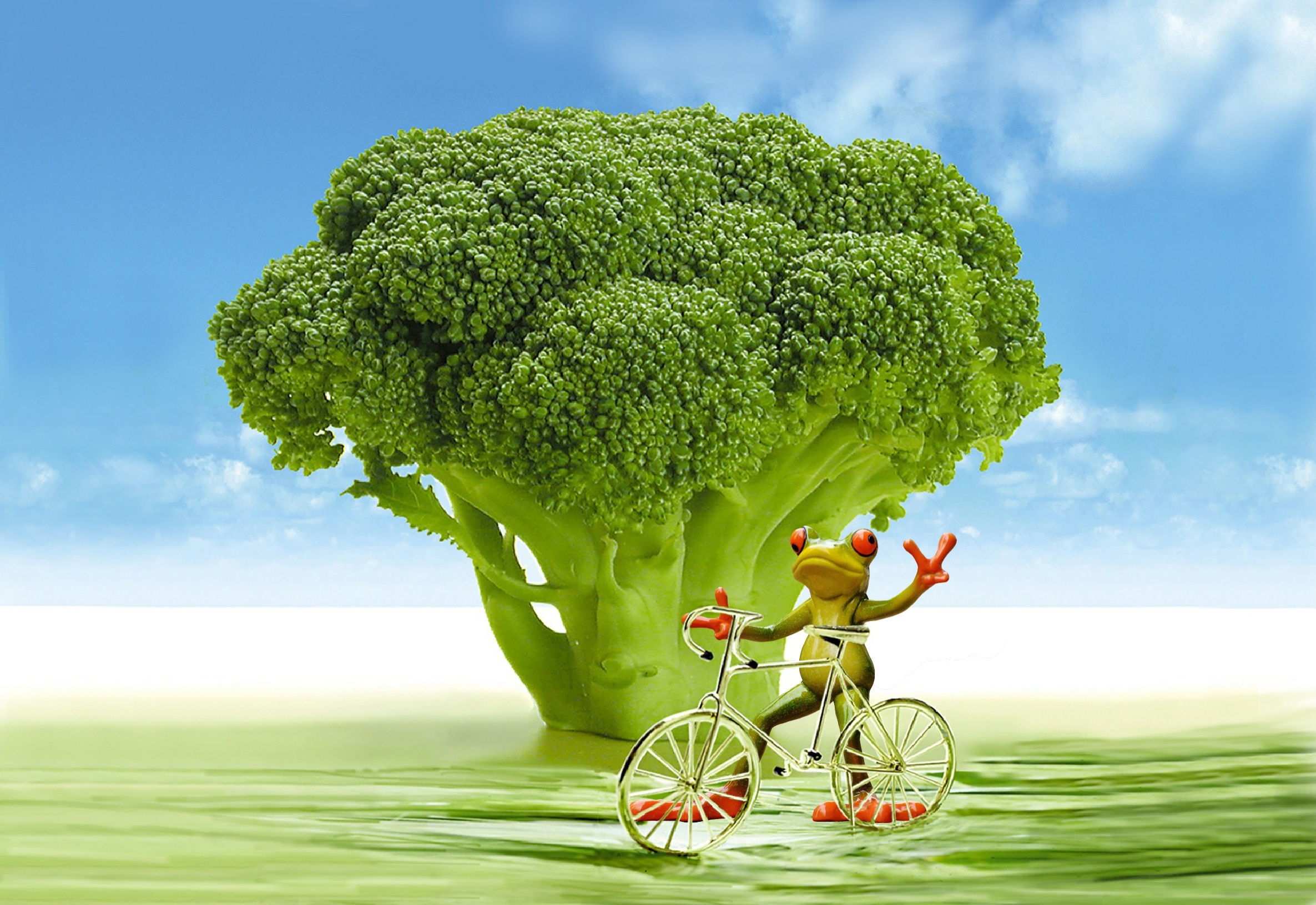 Appetite Broccoli Frog free image download