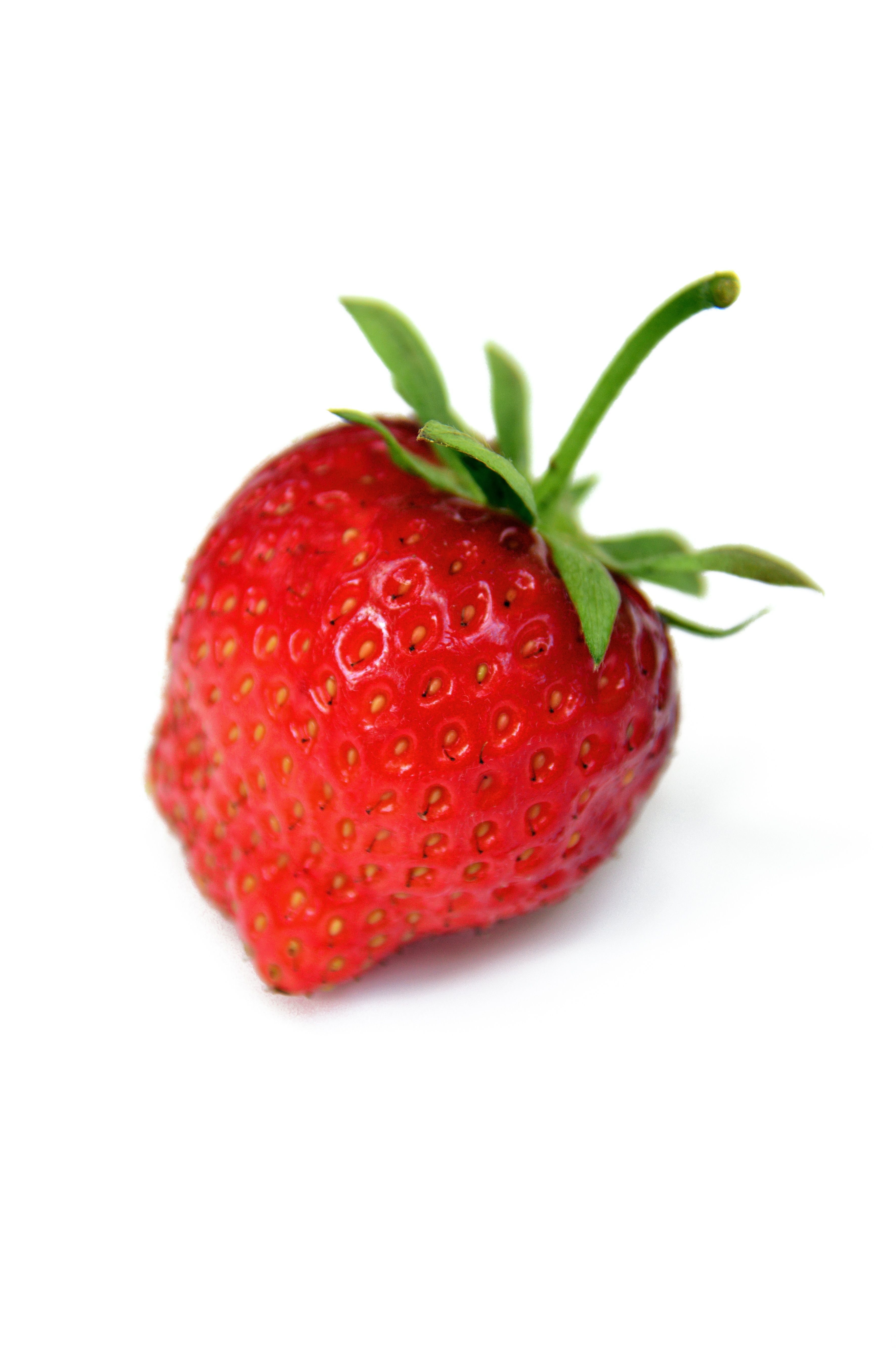 Red Strawberry Mature Ripe free image download
