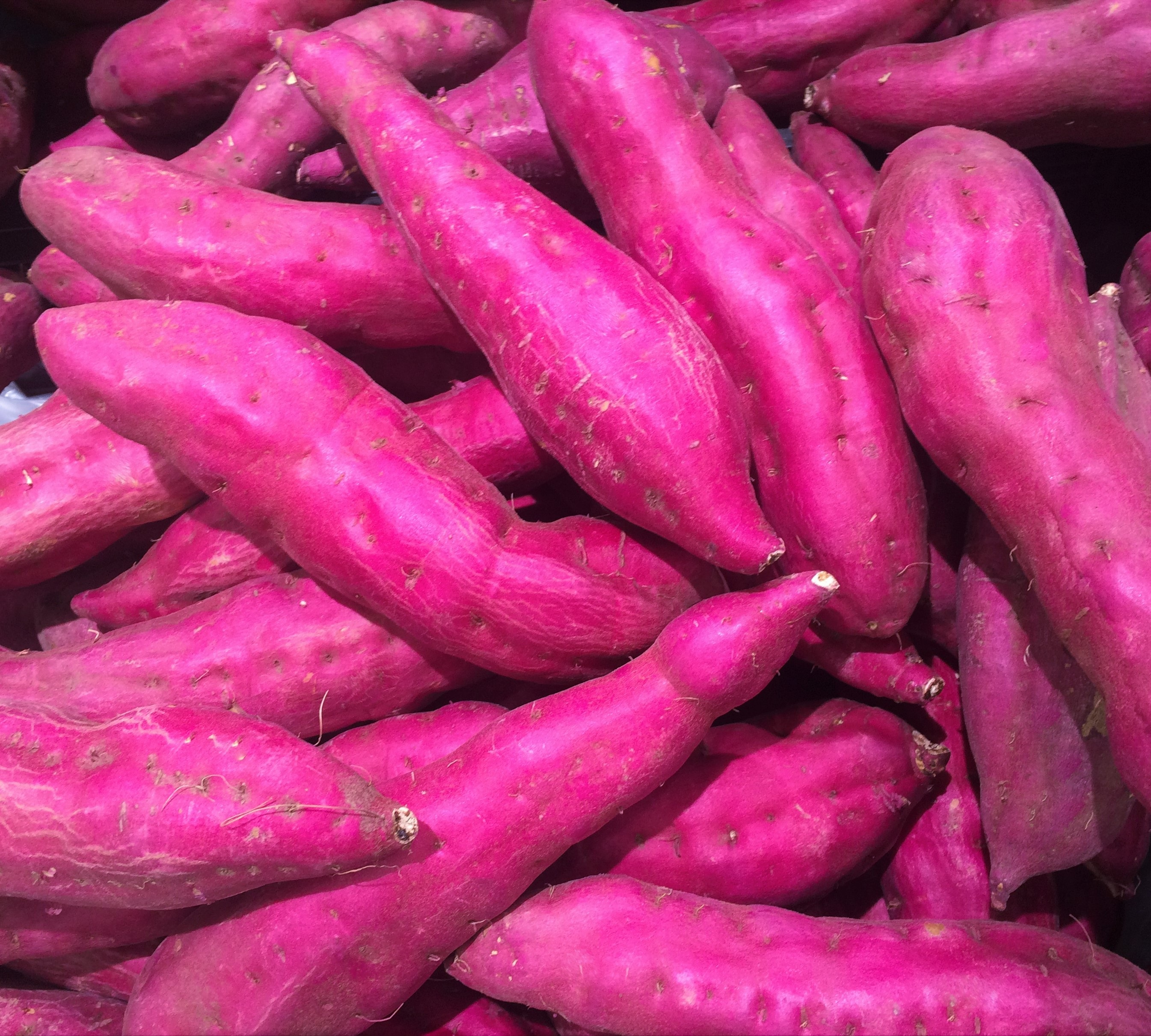 Sweet Potato Red Purple Vegetables free image download