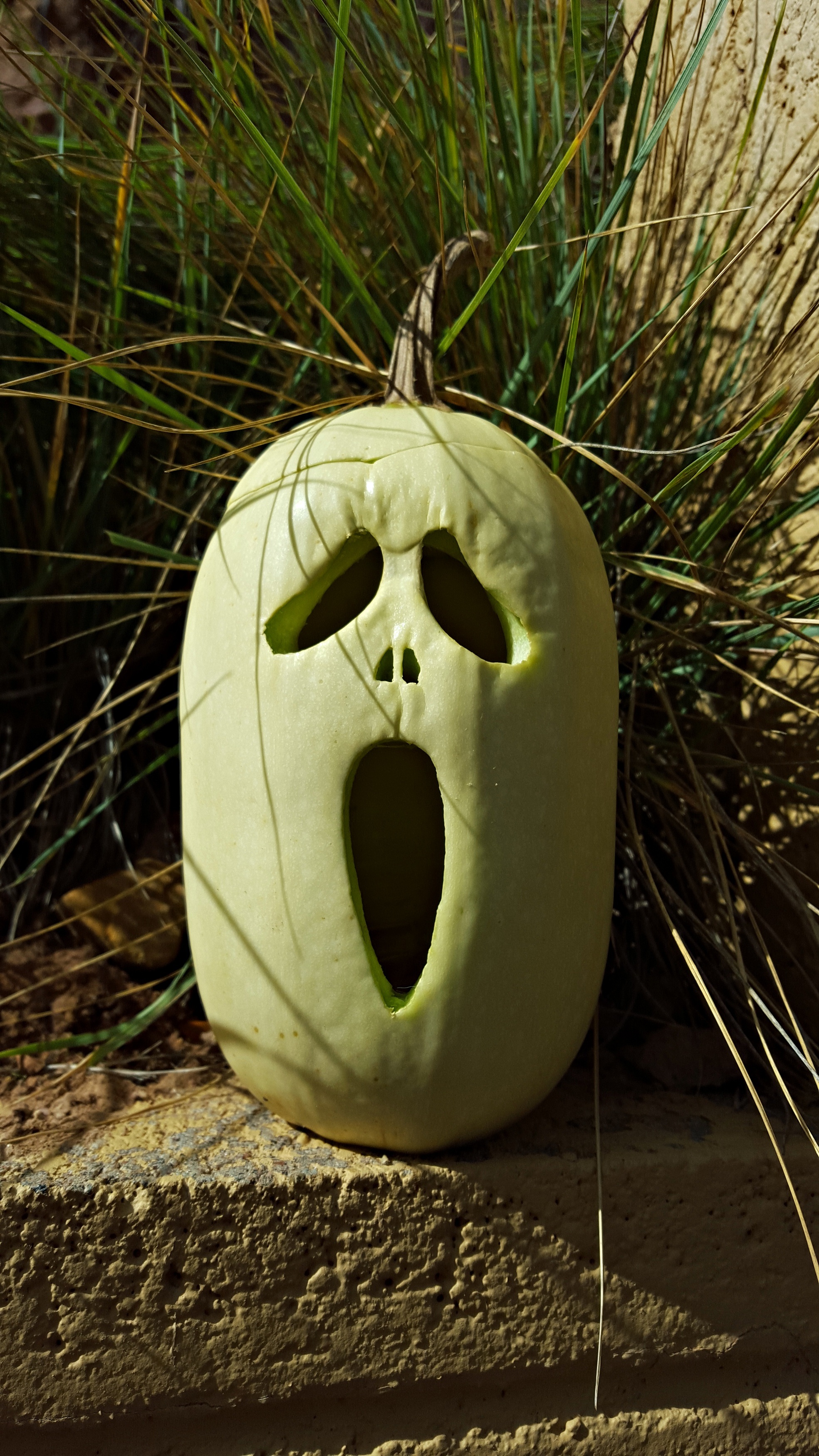 Pumpkin October Halloween free image download