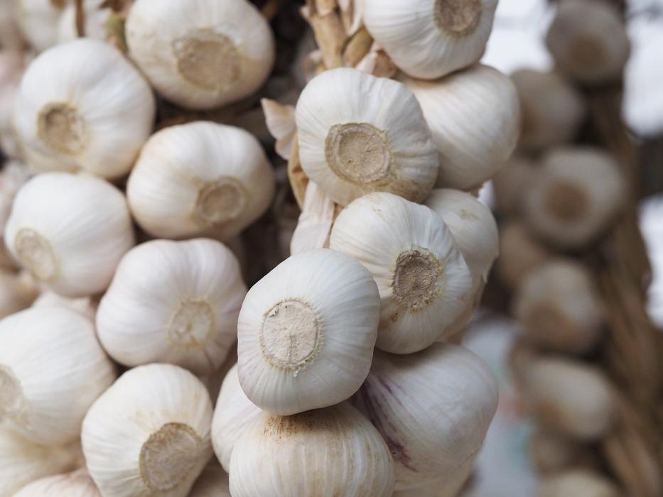Garlic White Food free image download