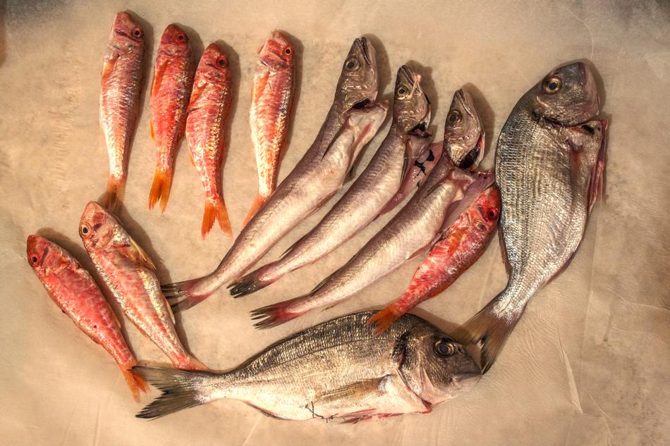 Fresh Fish Raw Sea free image download