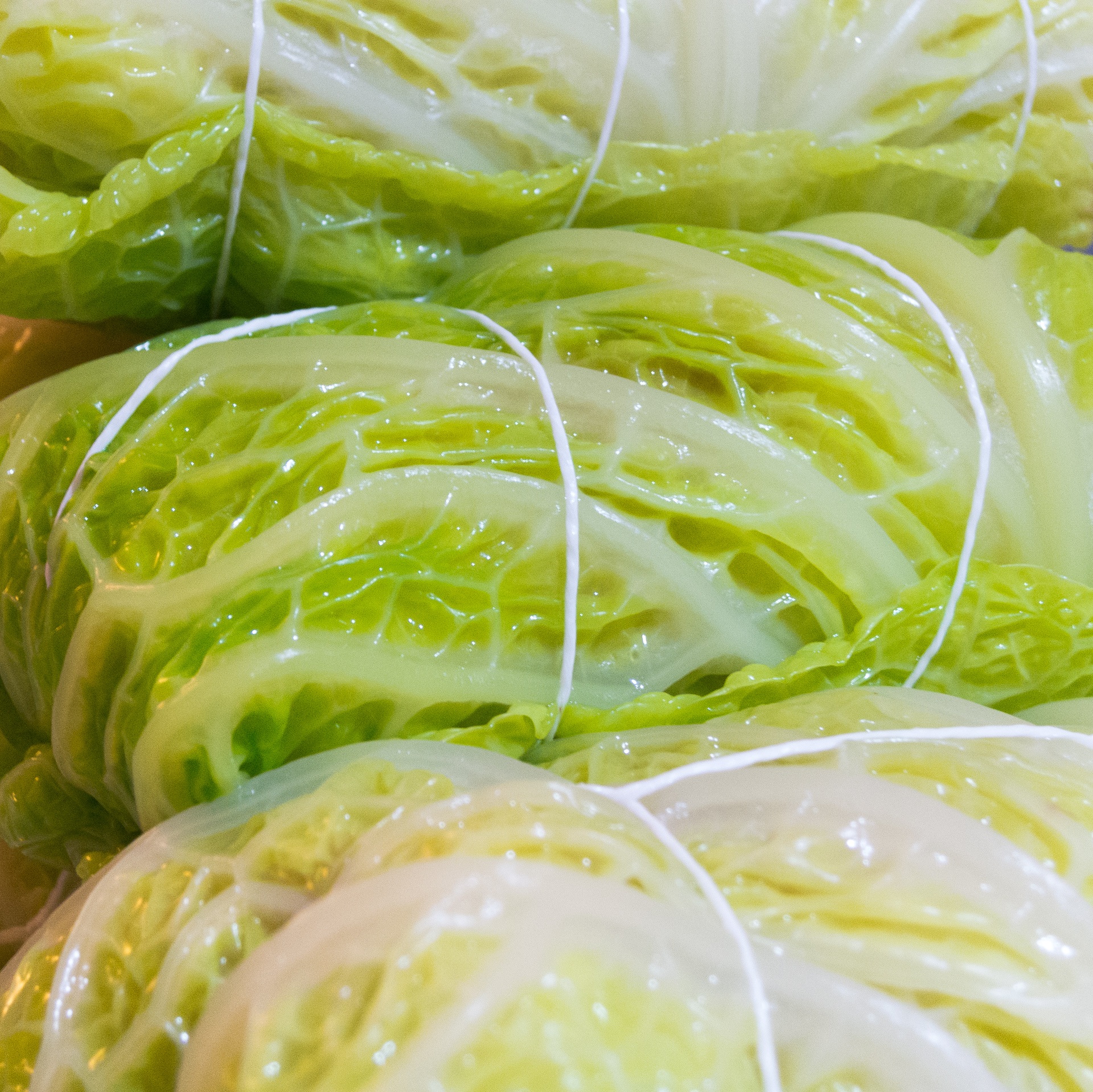 Healthy Savoy Kohl vegetable free image download
