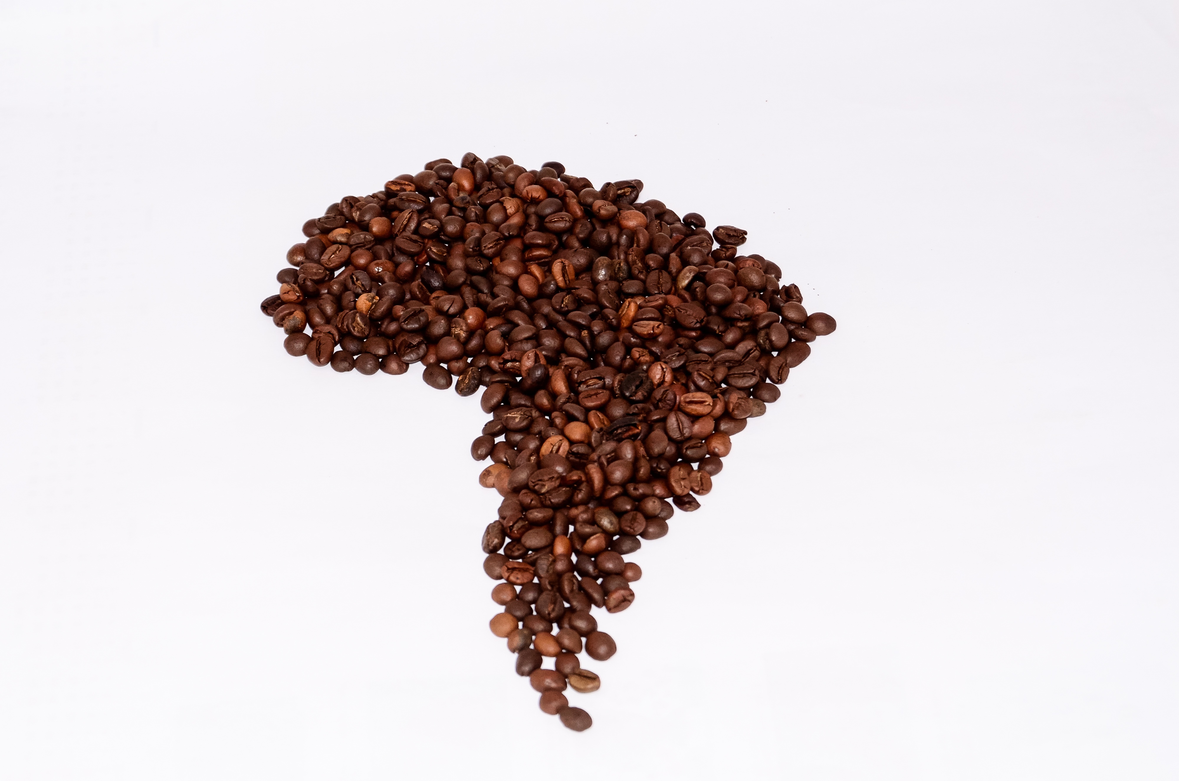 Coffee Beans The Drink free image download