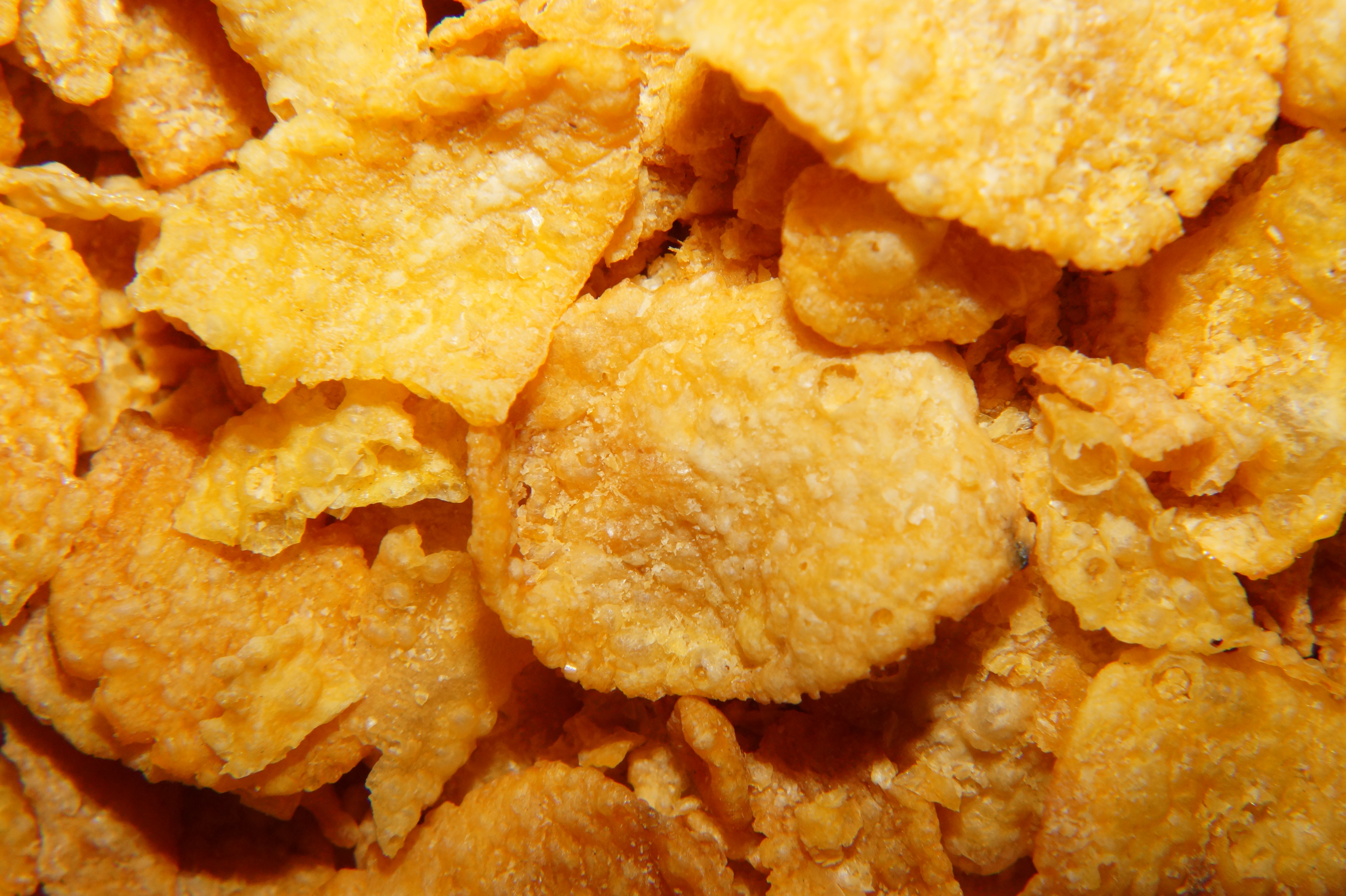 Cornflakes Breakfast Macro free image download