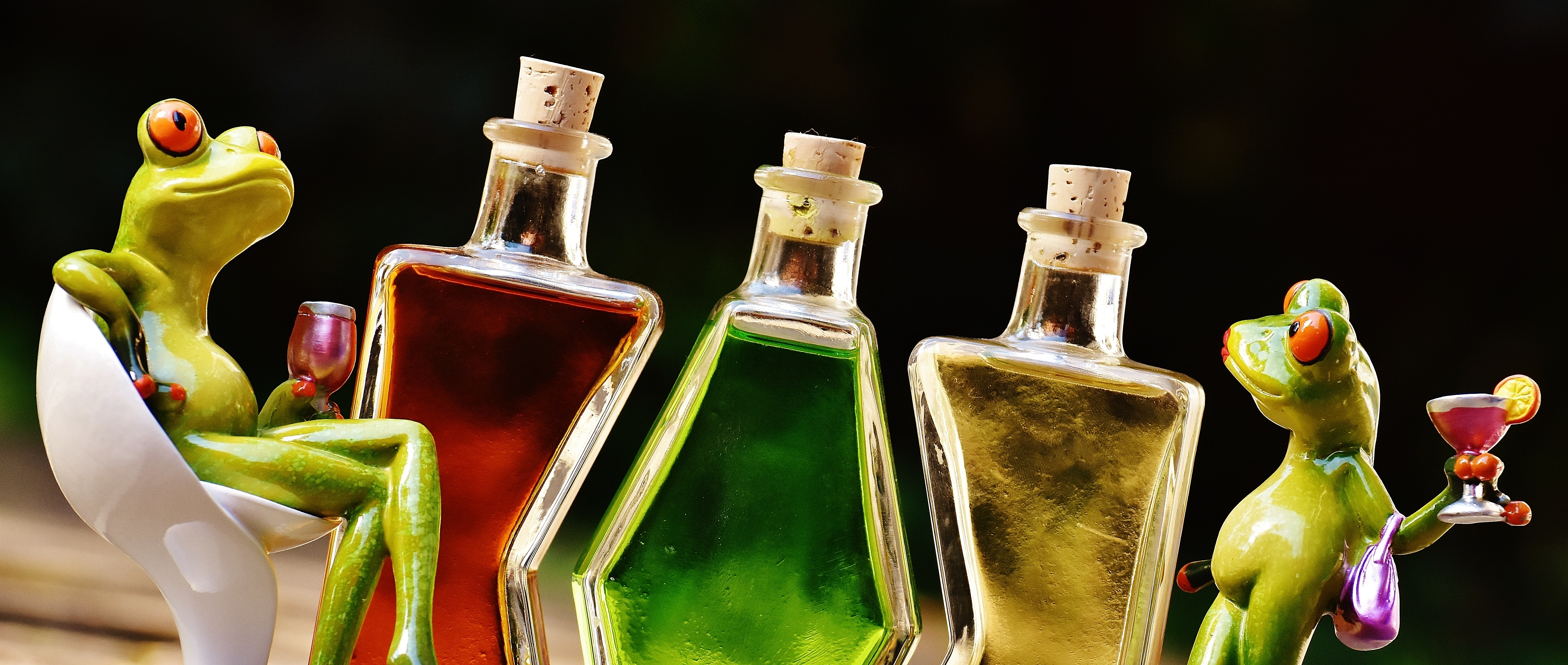 Frogs sitting by the drink bottles free image download
