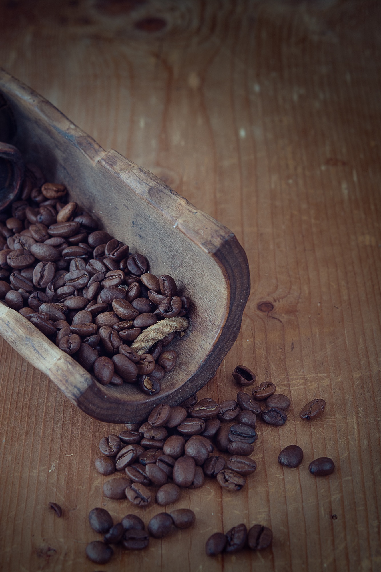 Roasted brown coffee free image download