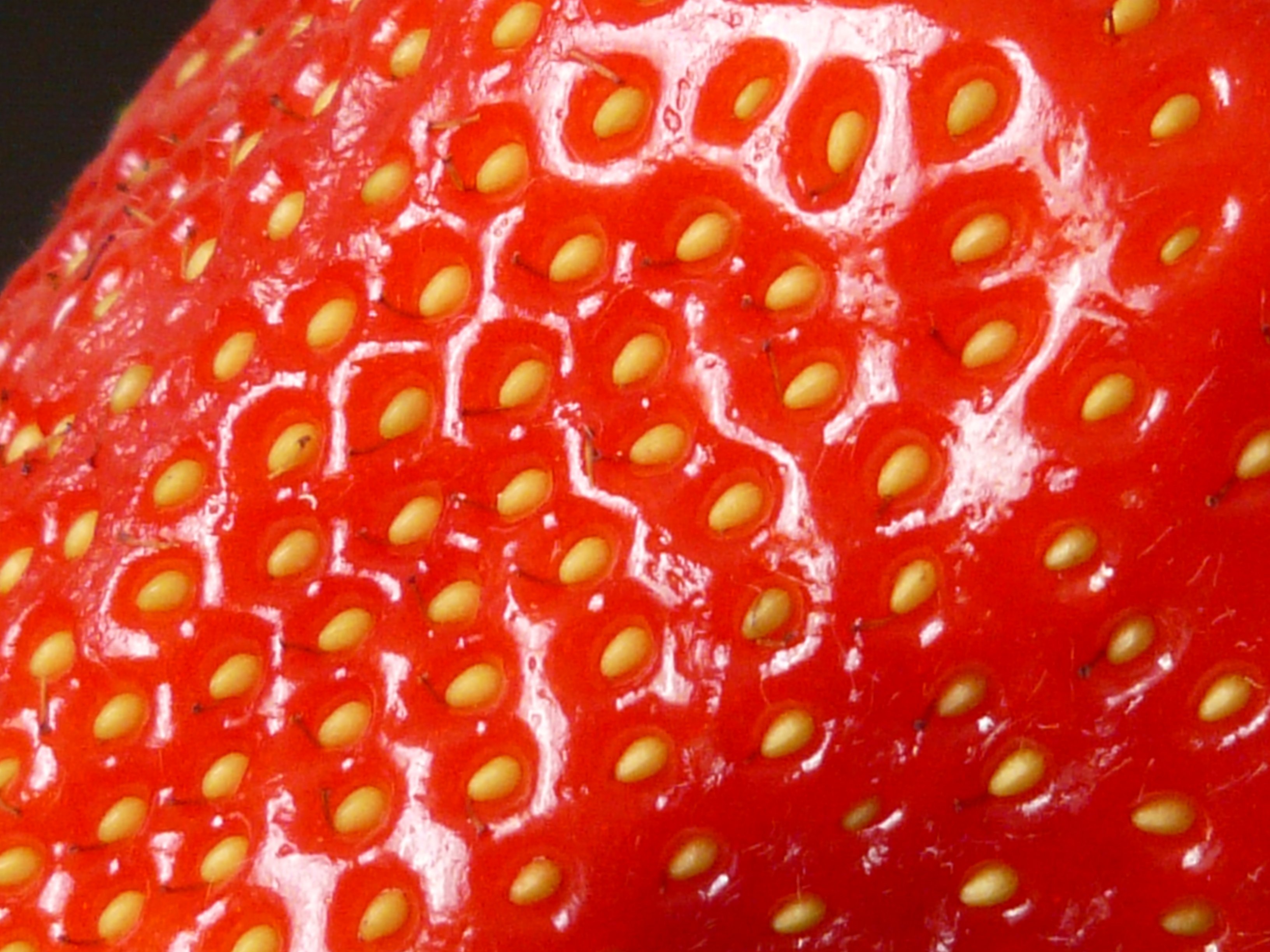Strawberry Fruit Red free image download