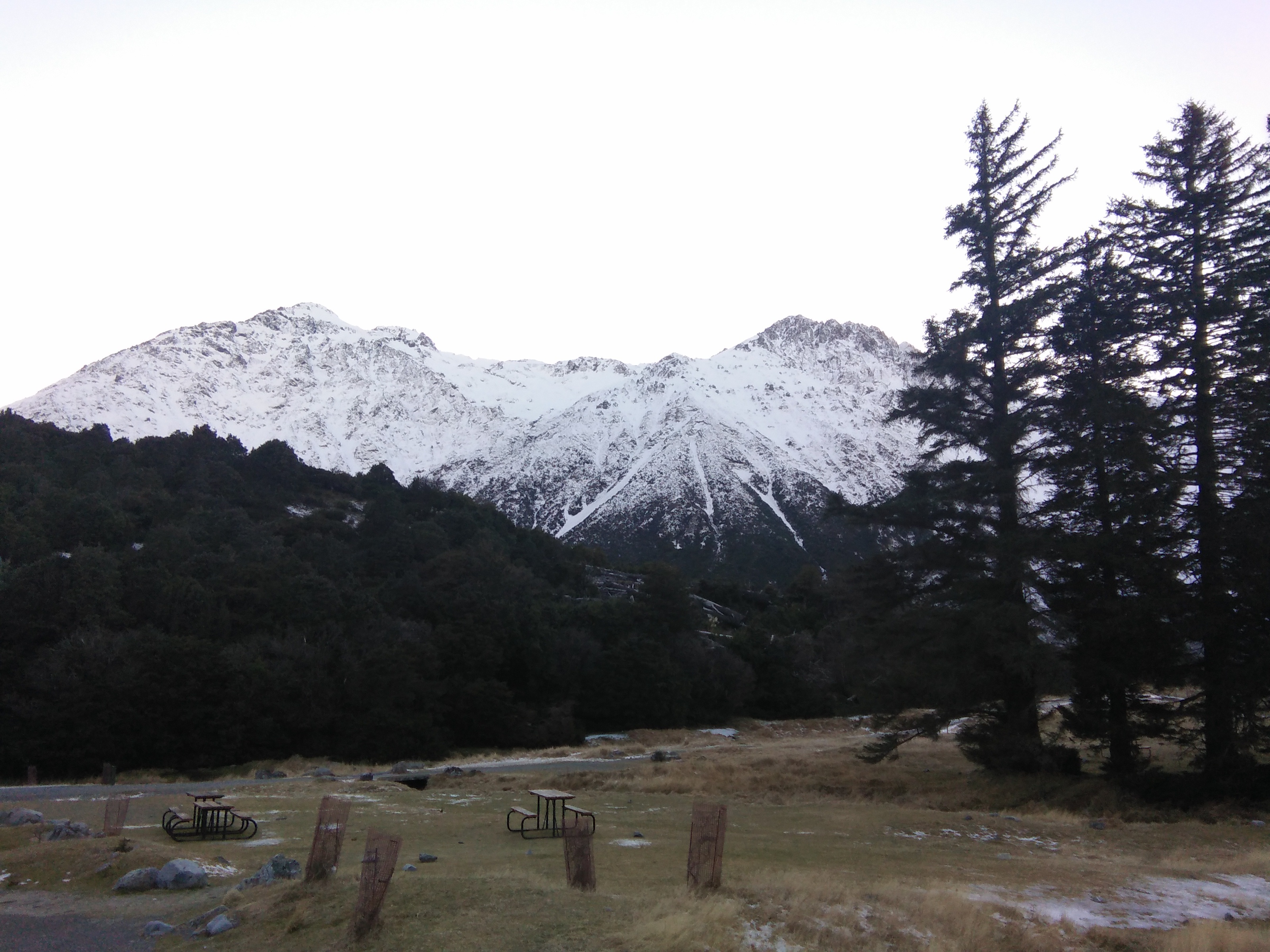 Snow Mountain Tree Mount Cook New free image download