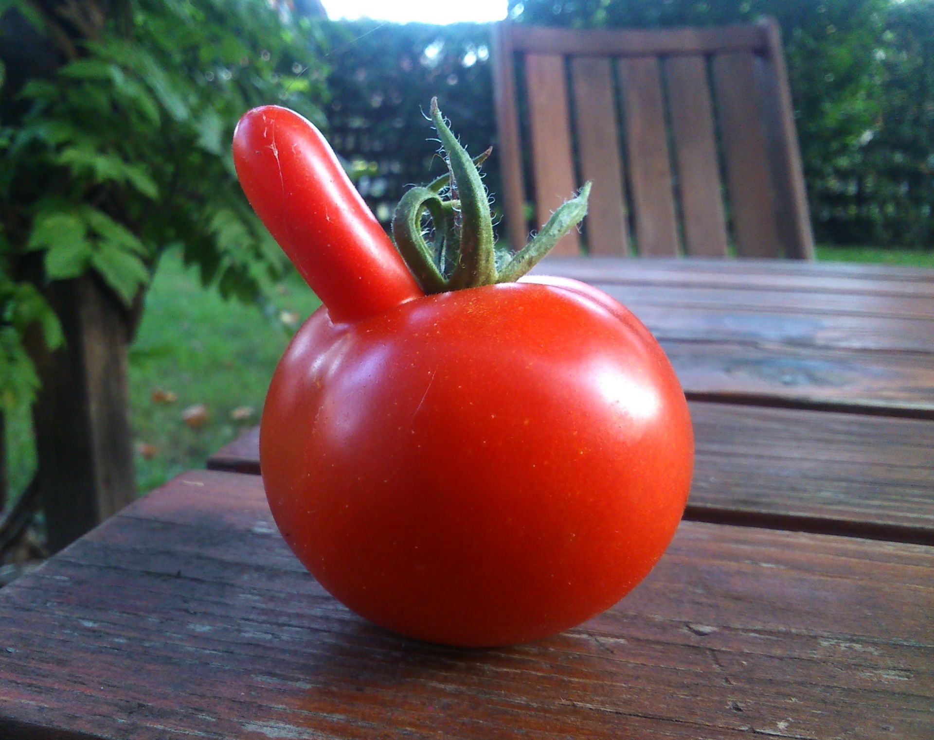 Funny Red Tomato free image download