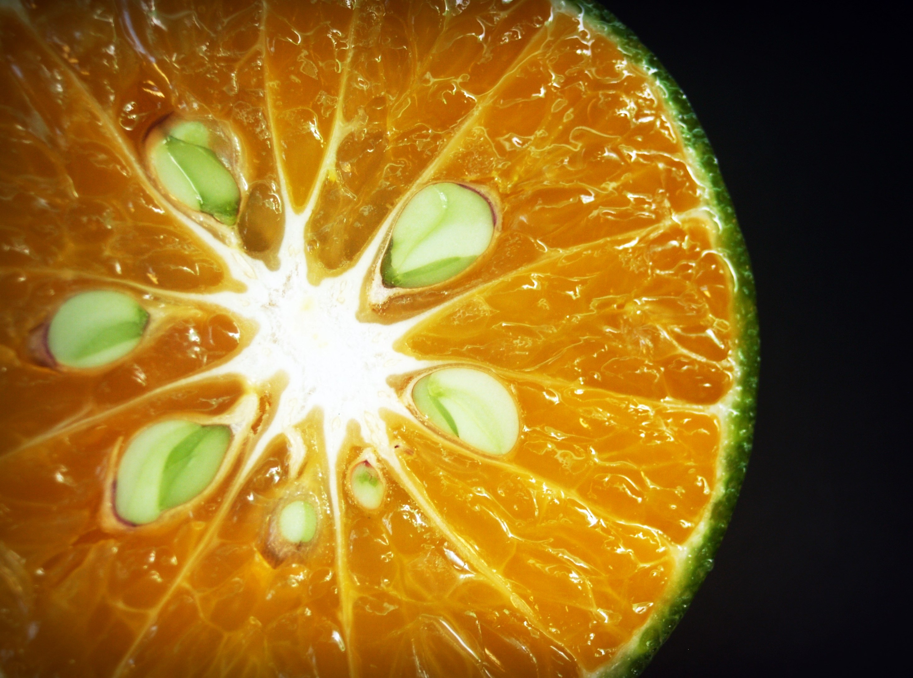 Orange Fruit Slice free image download
