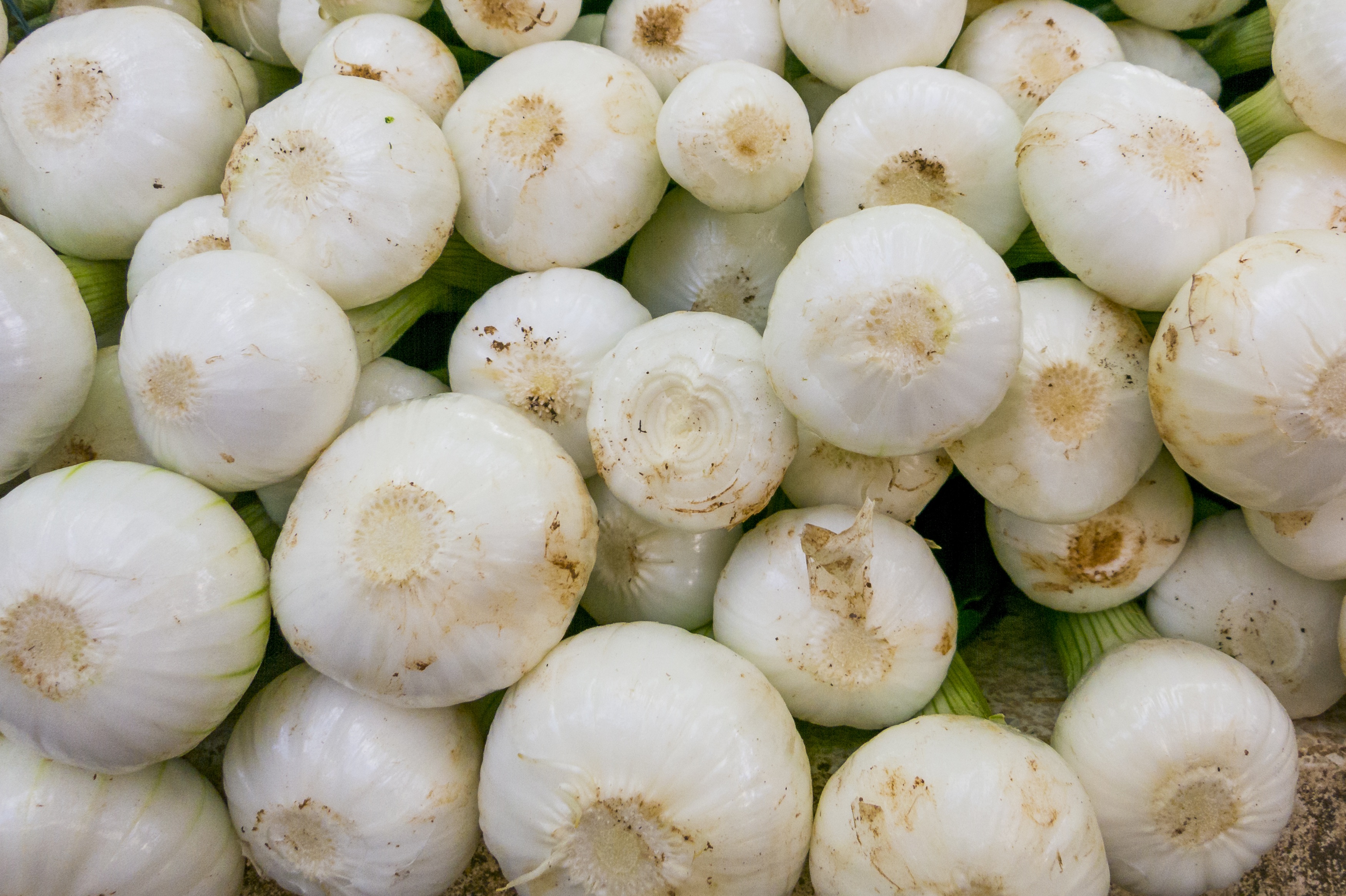 Onions Young Vegetables free image download