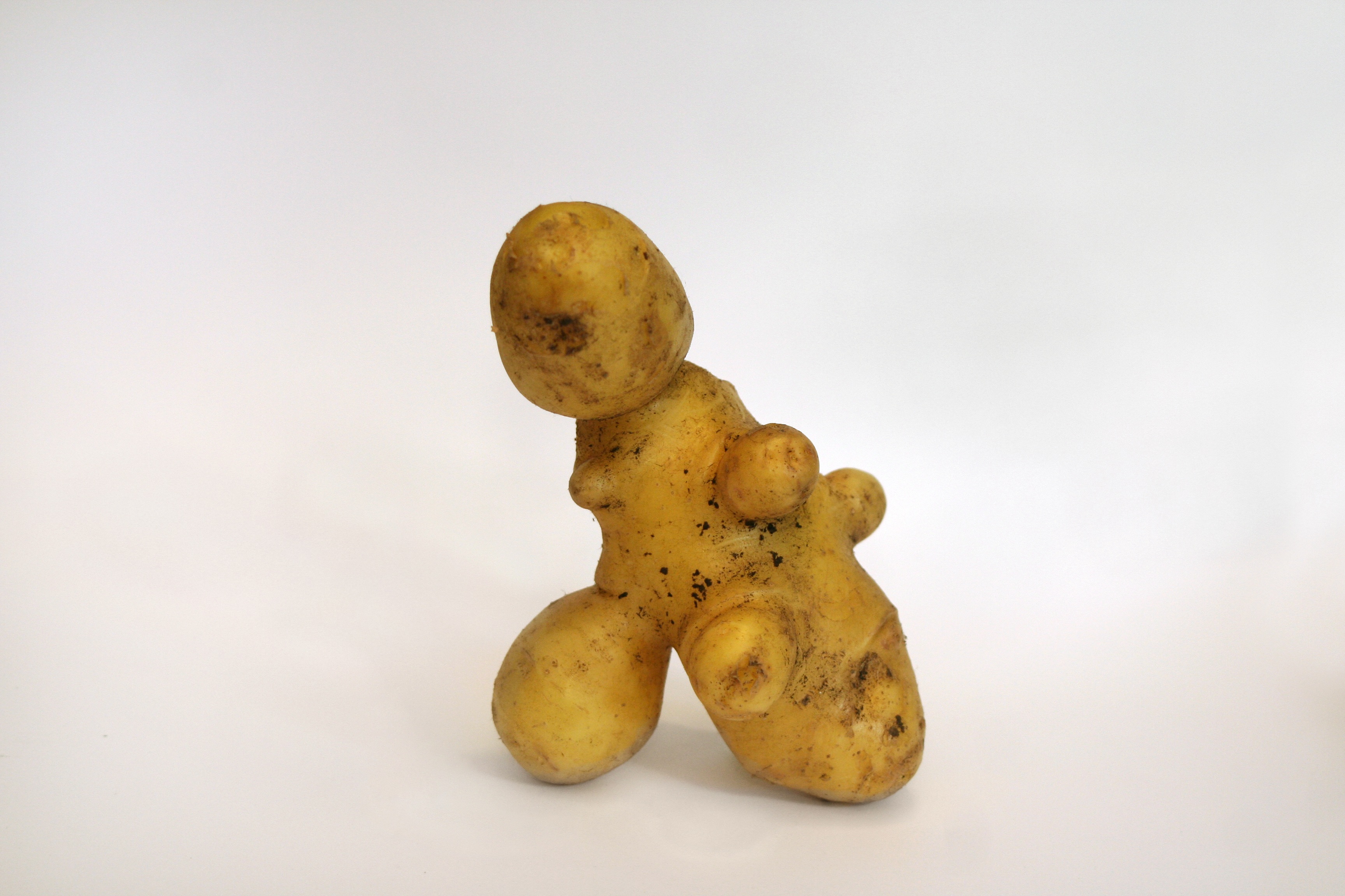 Potato Garden Vegetables free image download