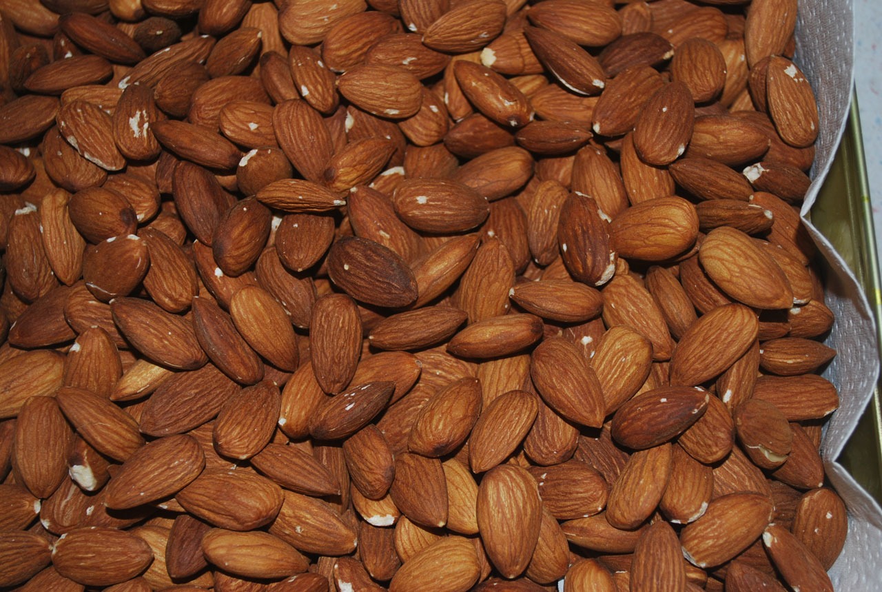 Brown Almonds Nuts free image download