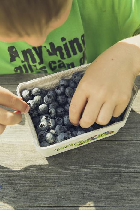 Child eating Blueberries from package free image download