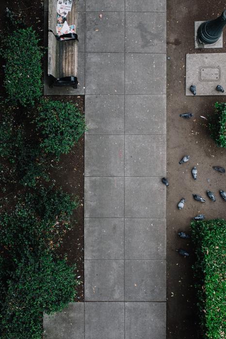 Aerial View Park Pavement free image download